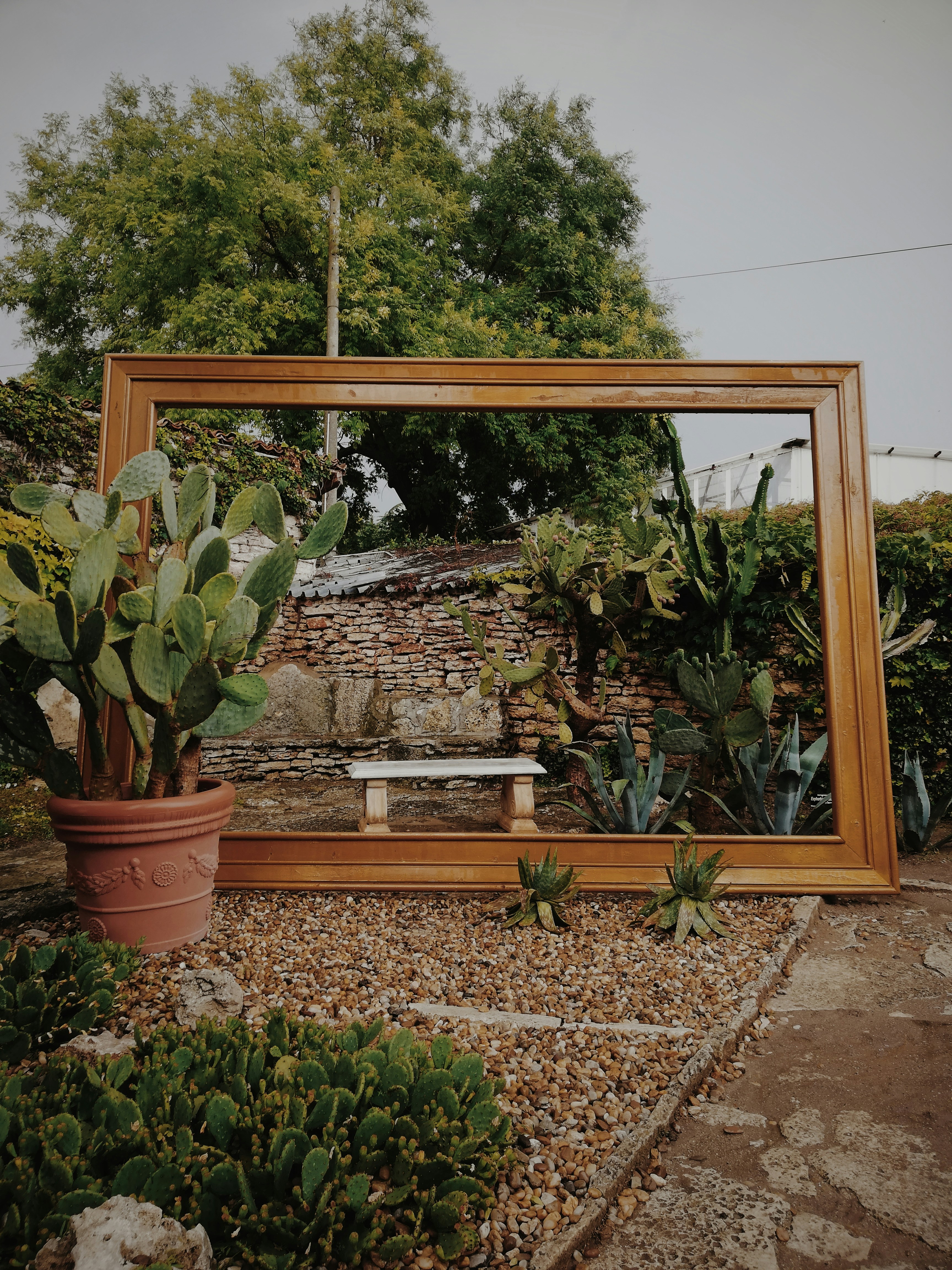 Photograph of a wooden frame set in a gravel garden, framing a backdrop of cacti, succulents and stone terrace.