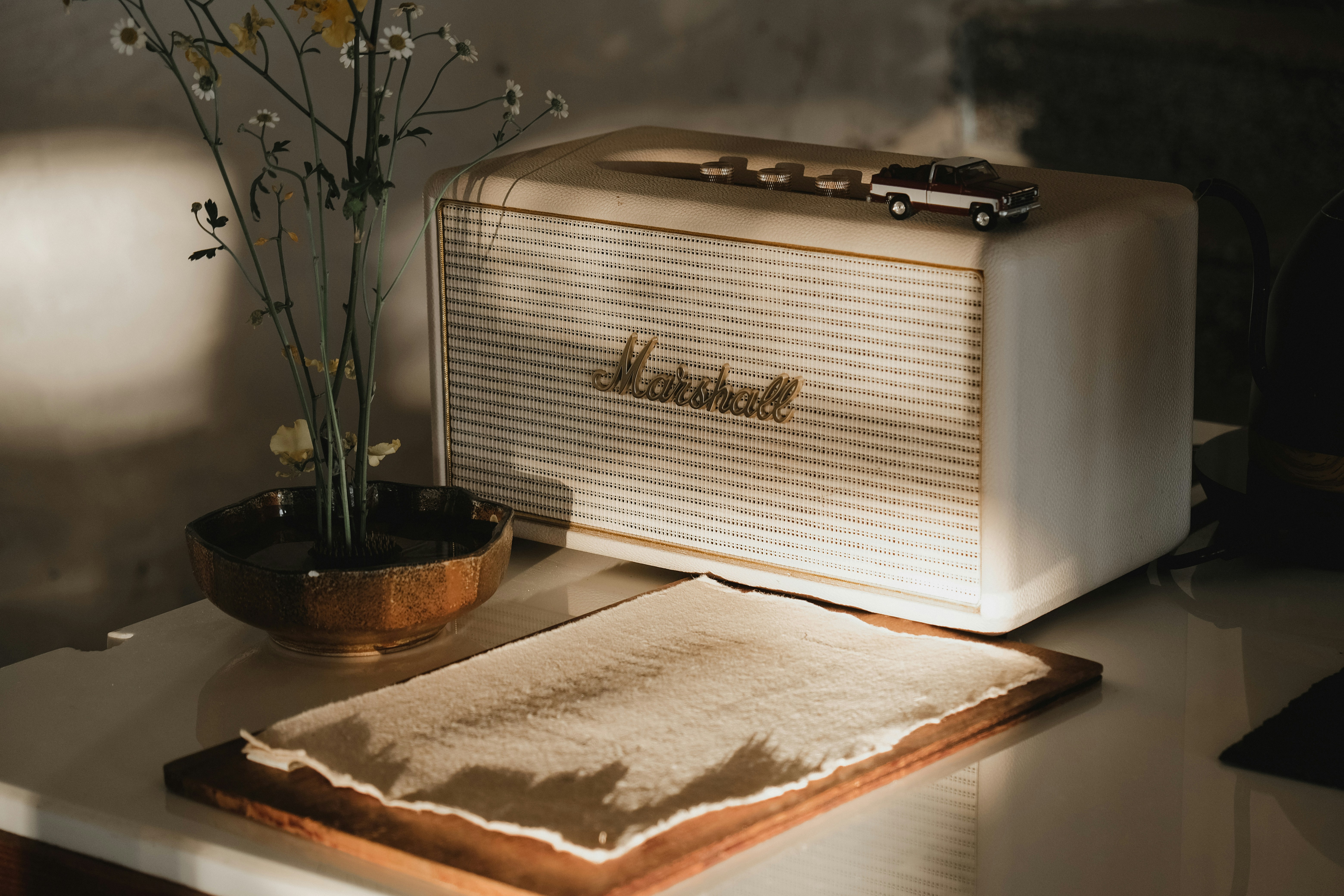 Retro-style speaker on a counter next to a vase of flowers, bathed in warm, dappled sunlight.