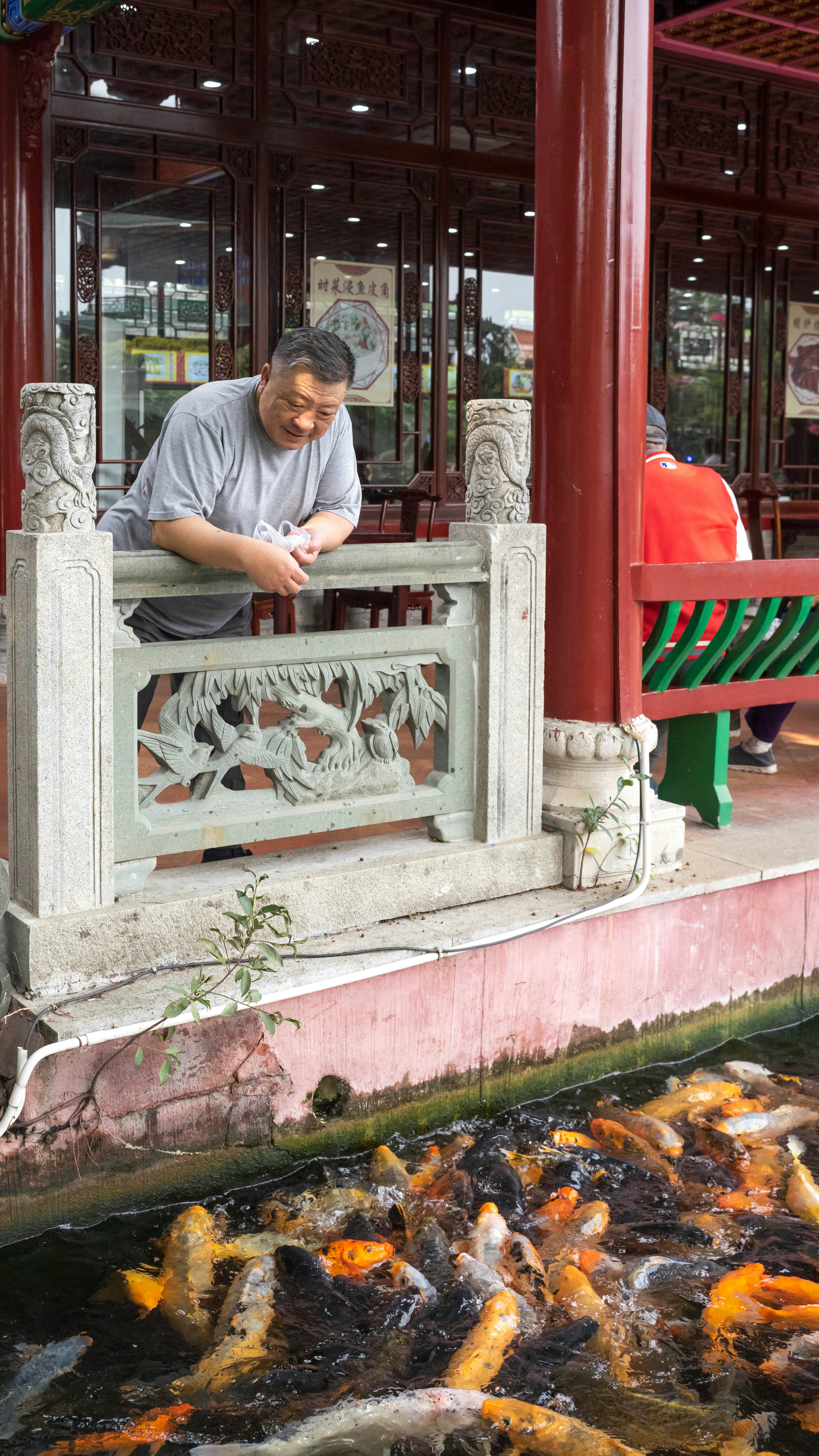 Carved Rail, Koi, and a Quiet Moment at the Temple Courtyard