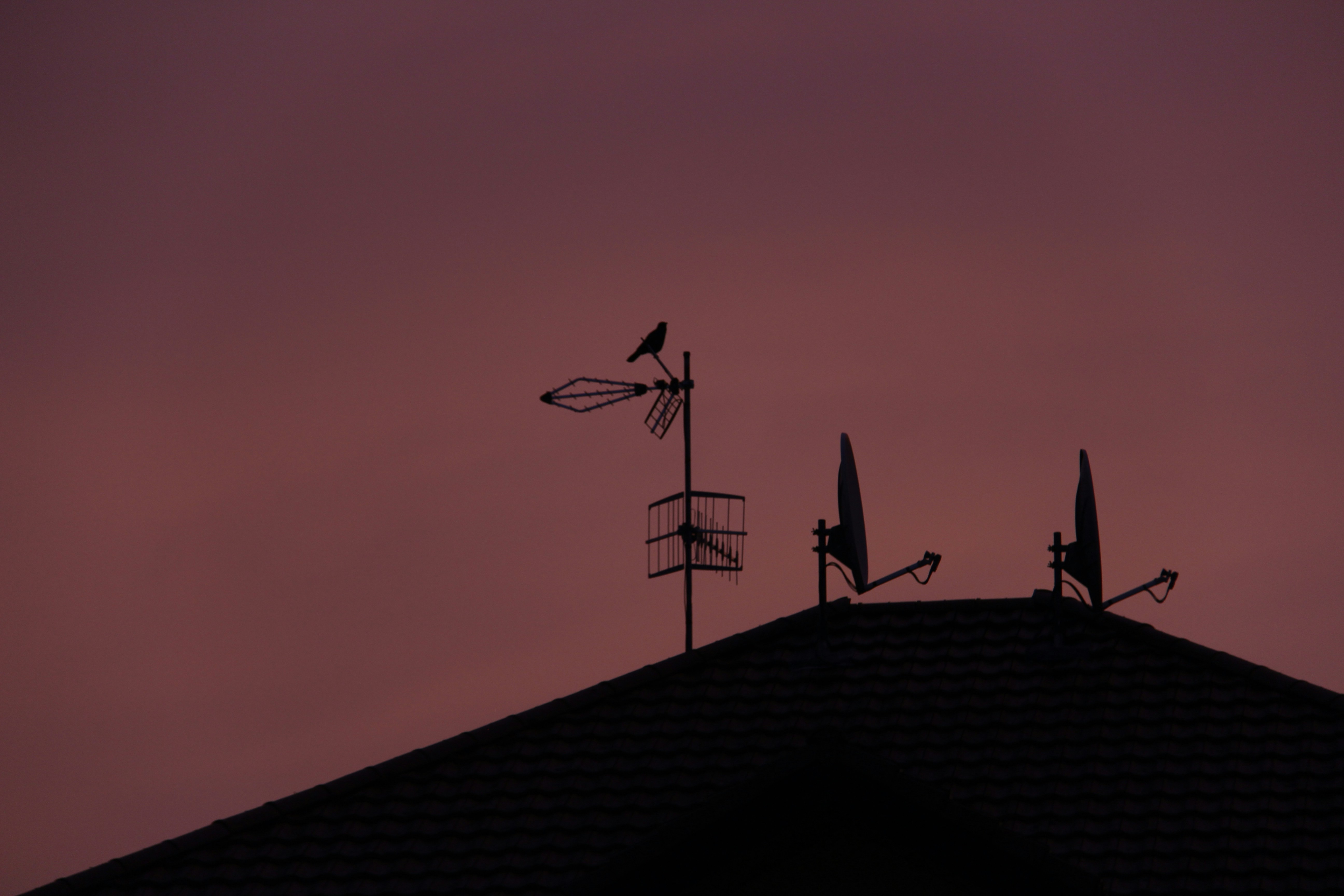 Silhouetted Antenna Ridge at Sunset