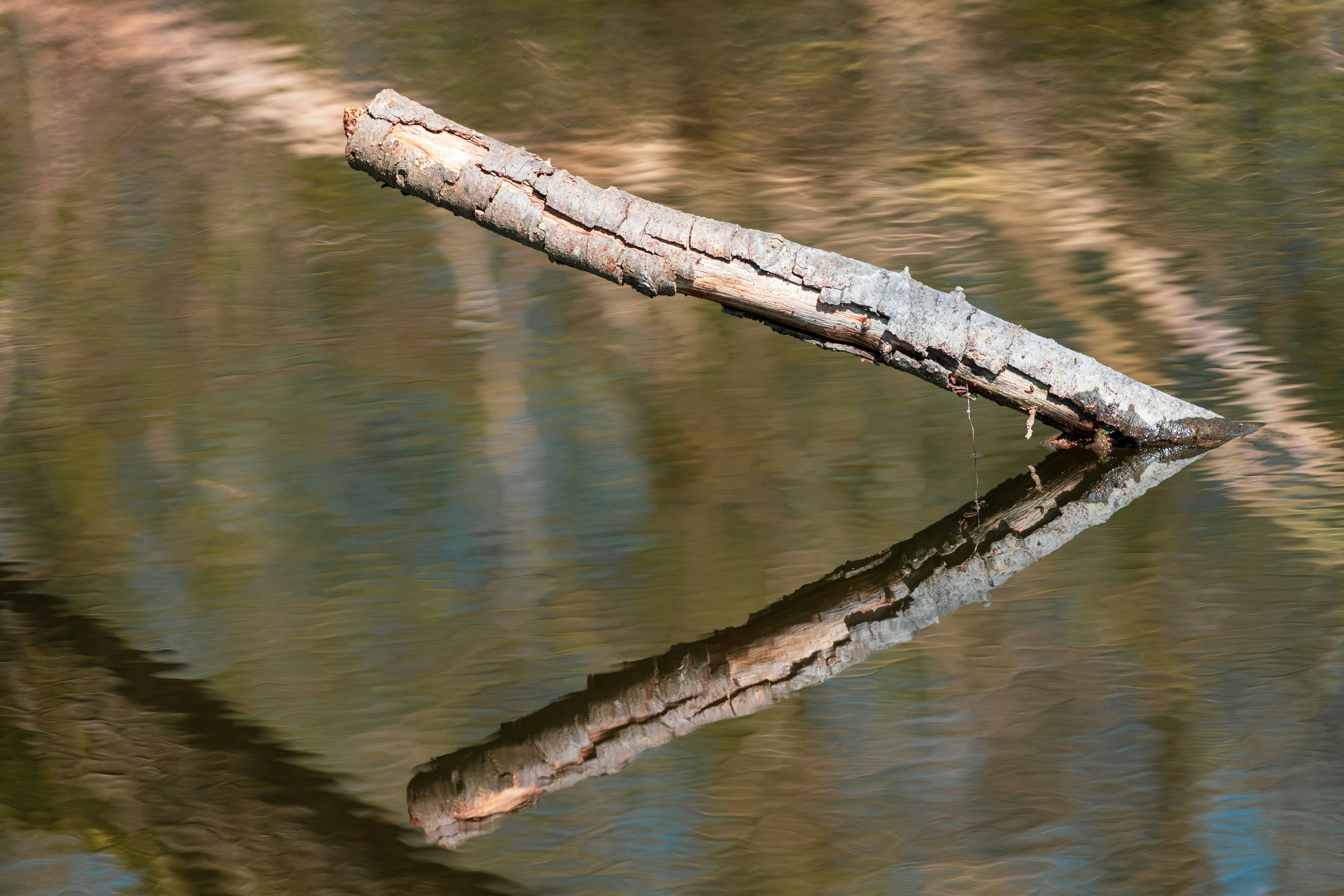 A weathered log floats serenely on the water's surface, perfectly mirrored by the stillness below. The tranquil scene captures the essence of nature's beauty.