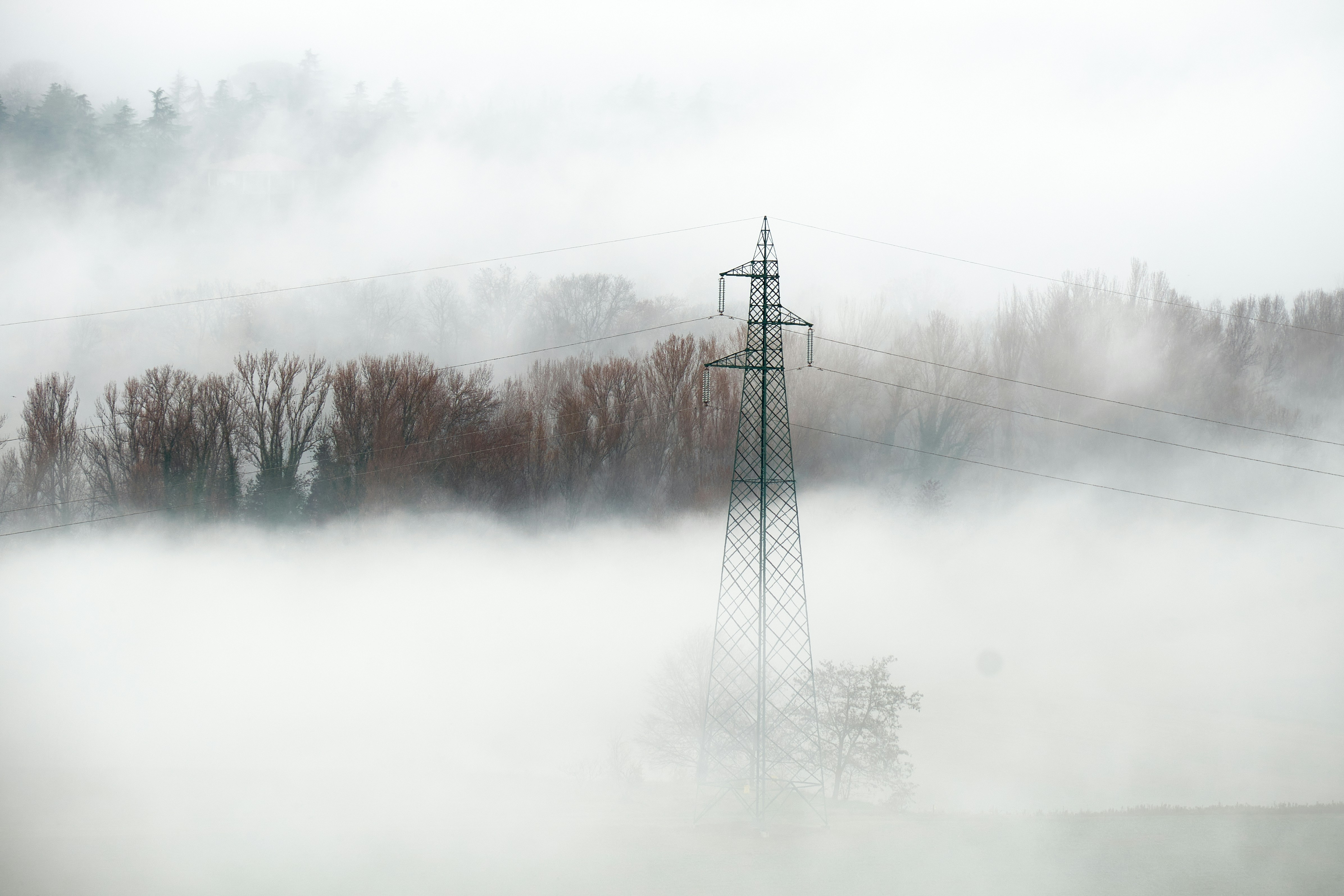 Transmission tower partially obscured by dense fog with tree line in the background.