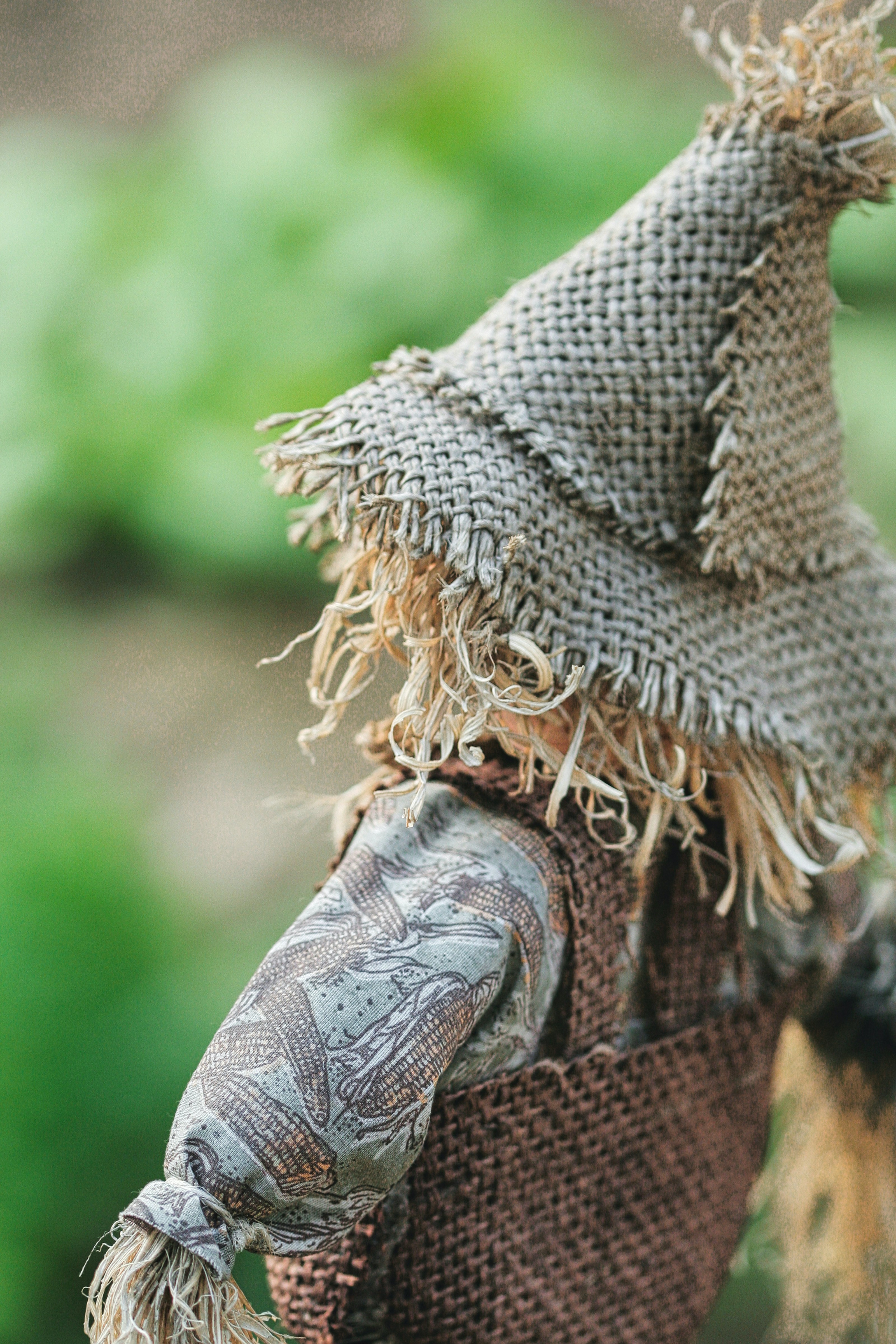 Scarecrow Pictures | Download Free Images on Unsplash