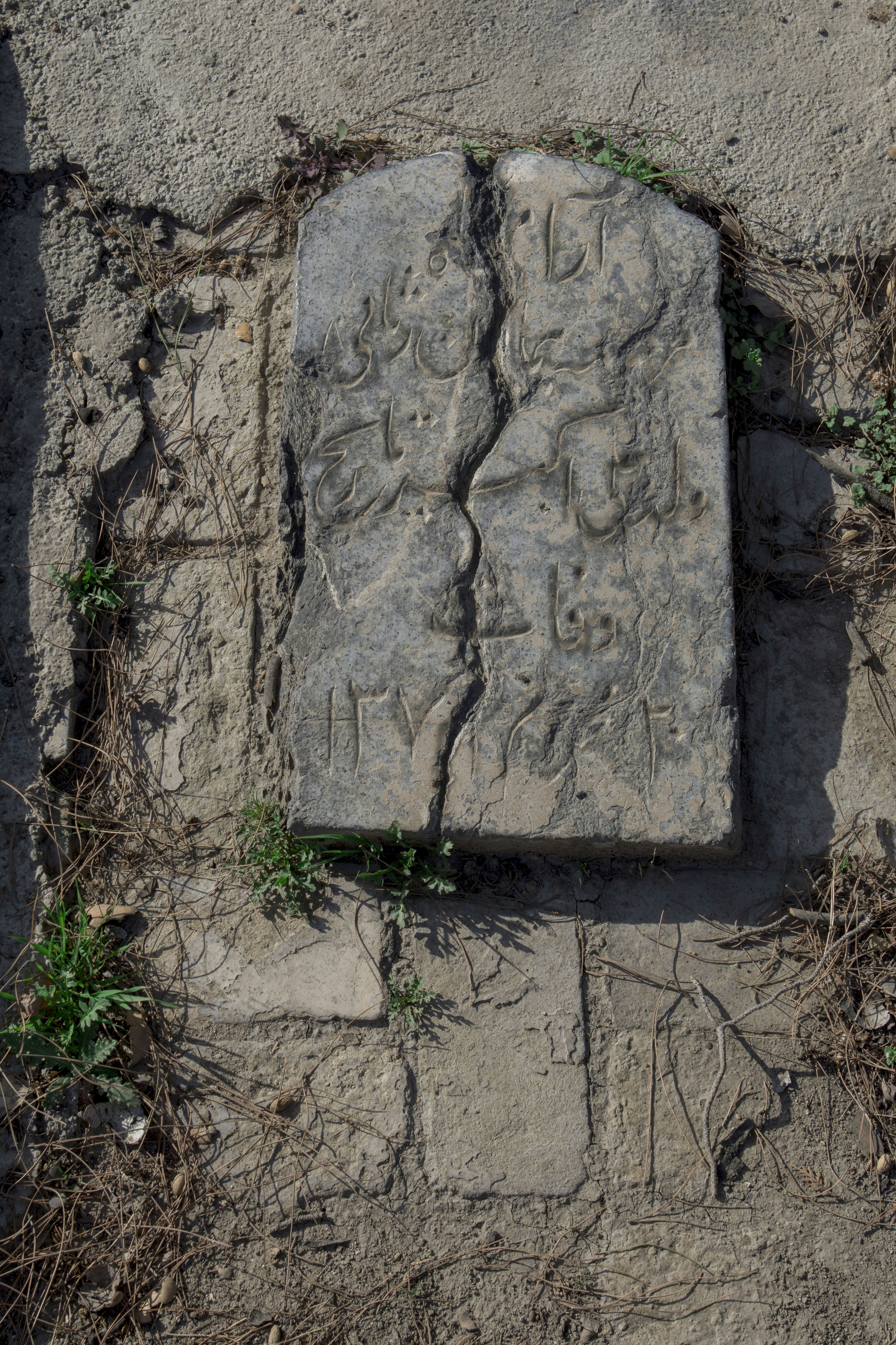 Photo by Javad Esmaeili with Nikon D7200