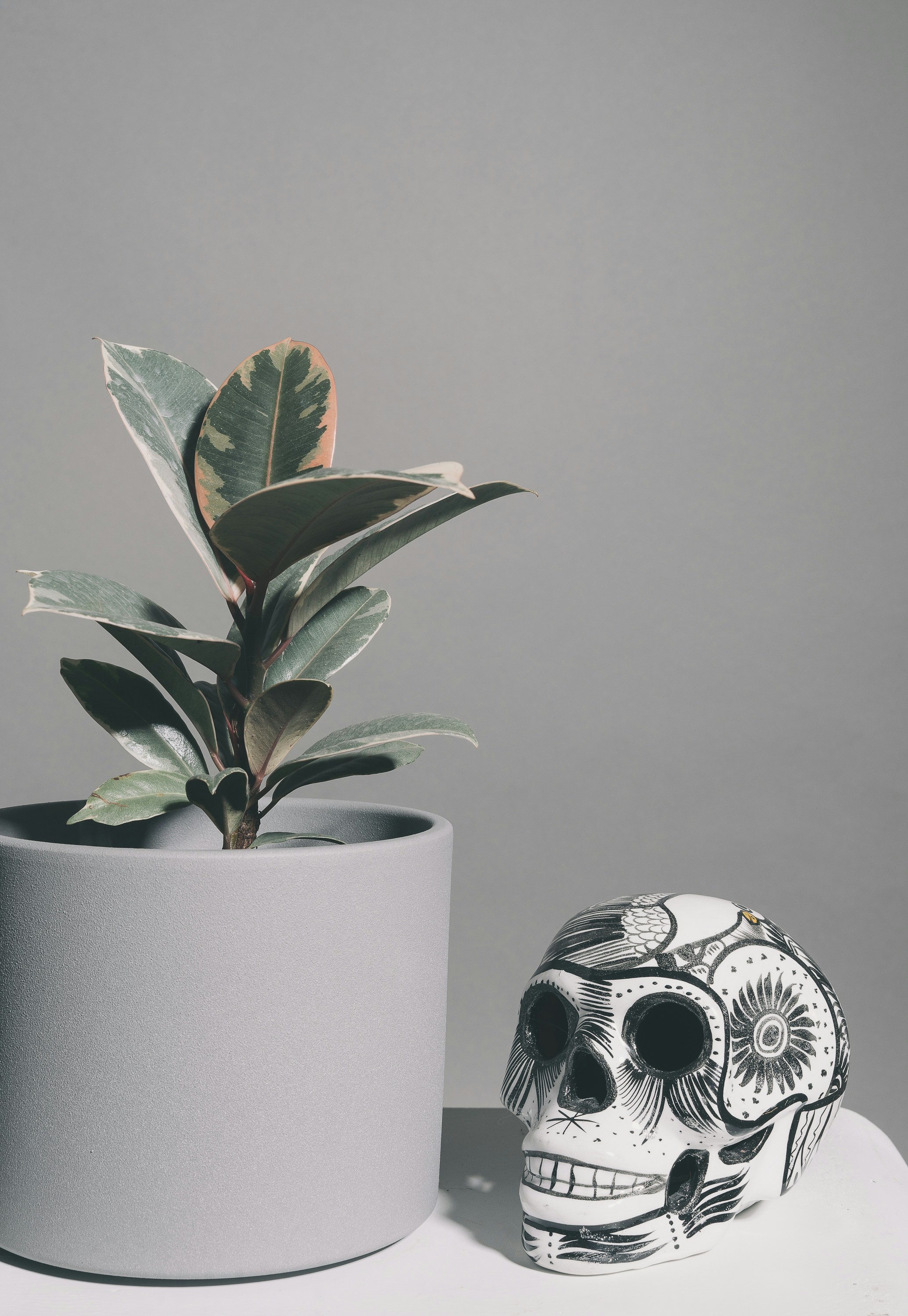 Monochrome Harmony: Plant and Patterned Skull