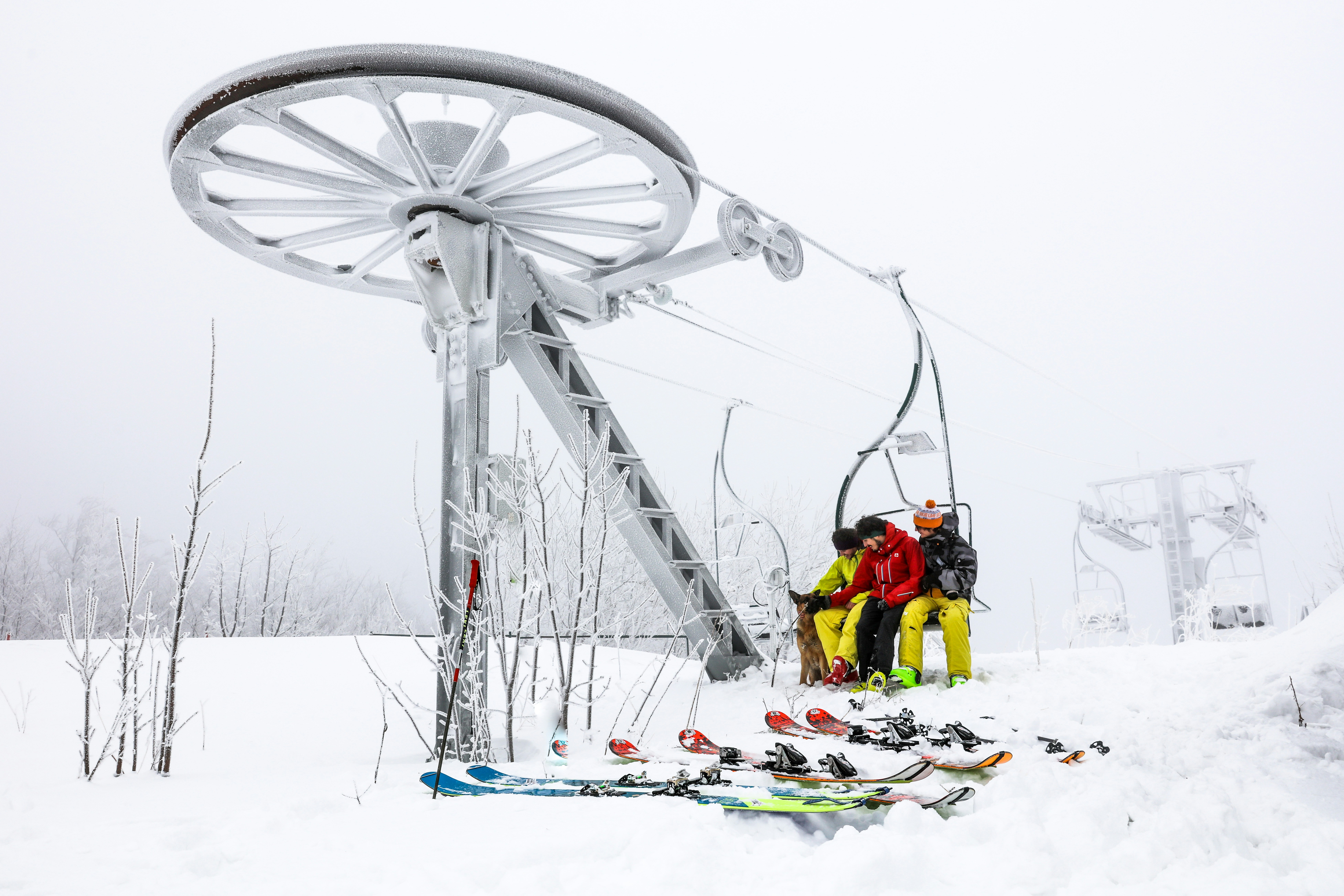 People riding ski lift on snow covered ground during daytime photo ...