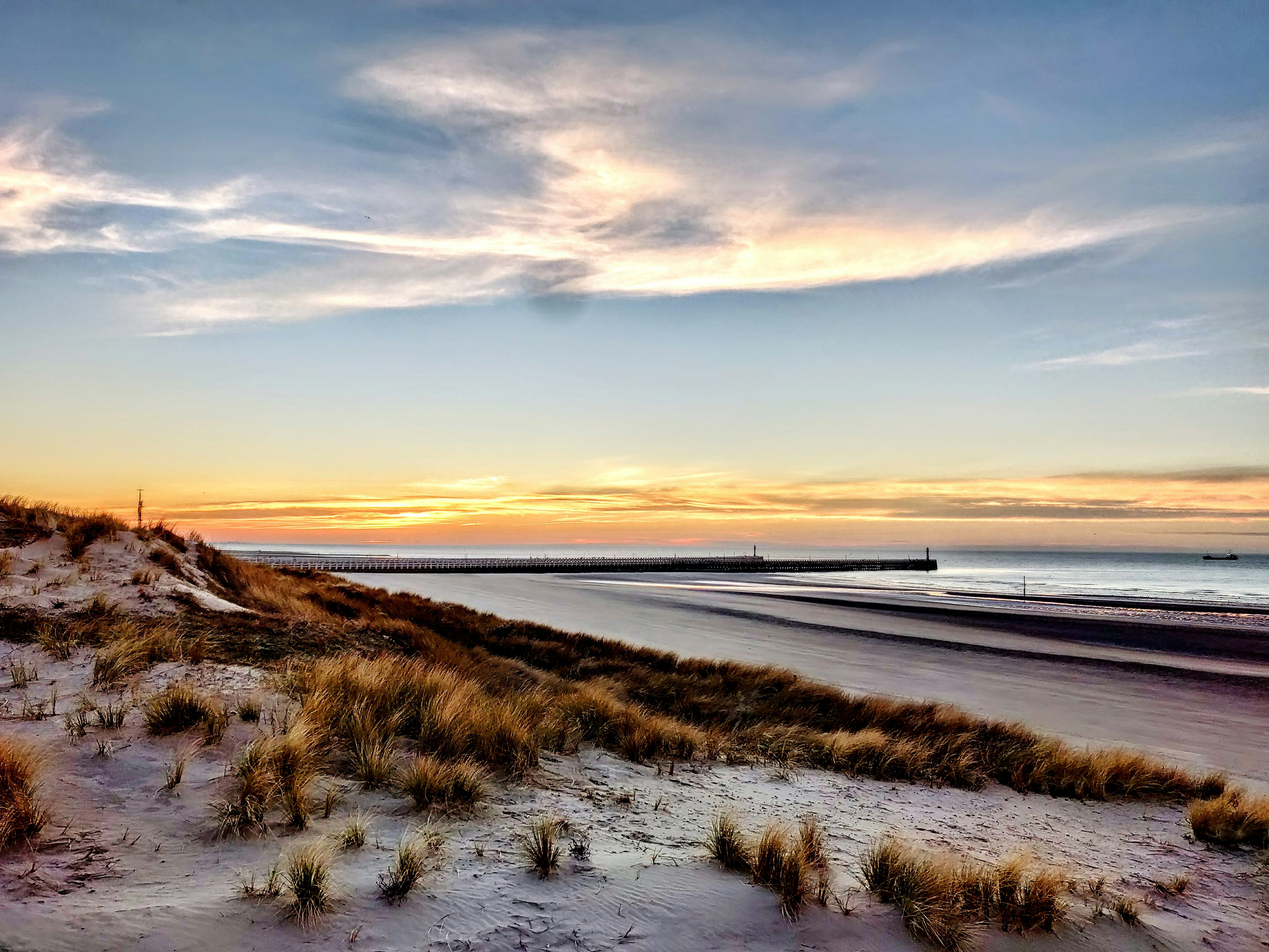 Sandy dunes and coastal grasses under a colorful sunrise sky by the ocean.