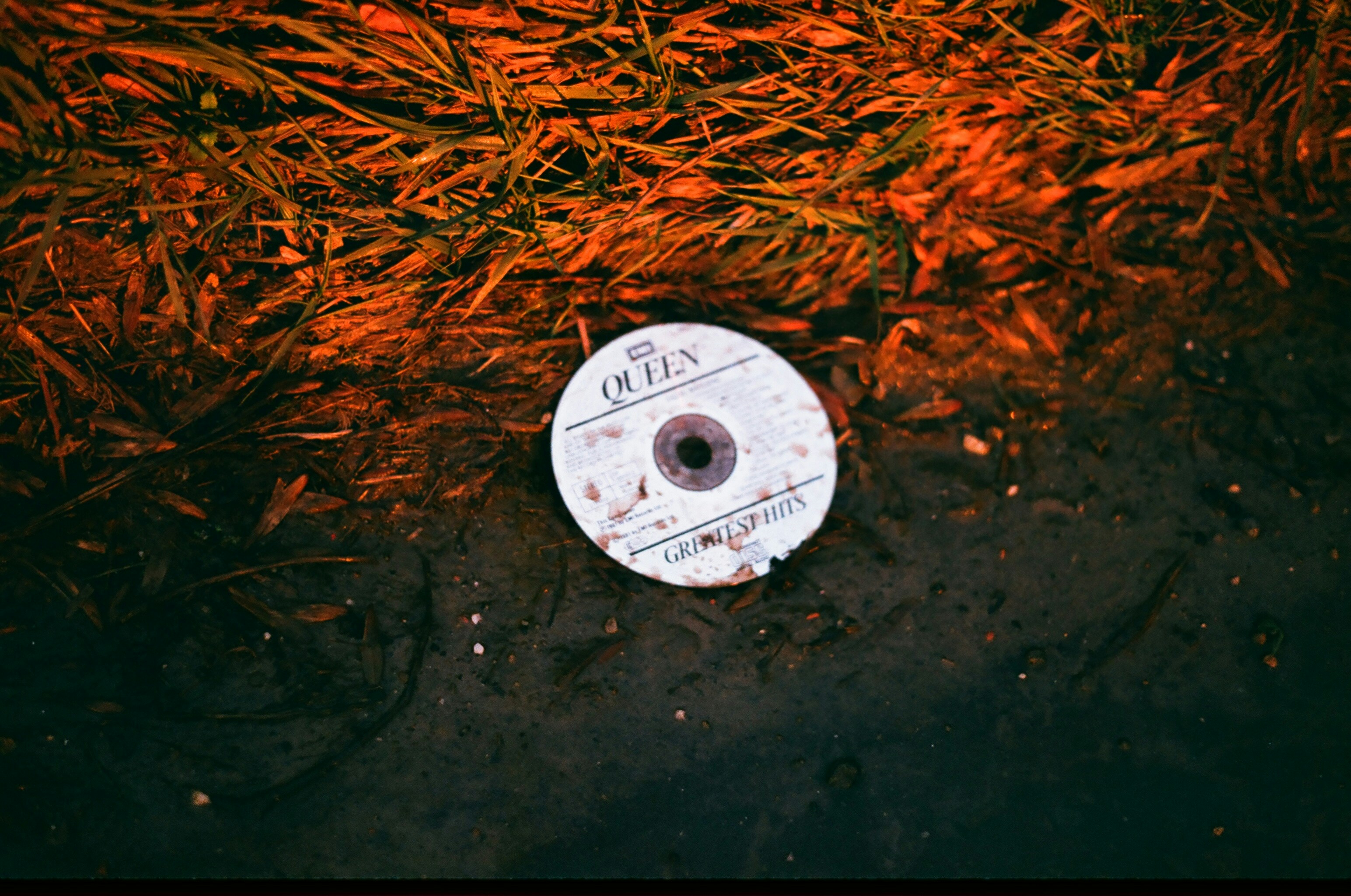 White and black round disc on brown dried leaves photo – Free Landen ...