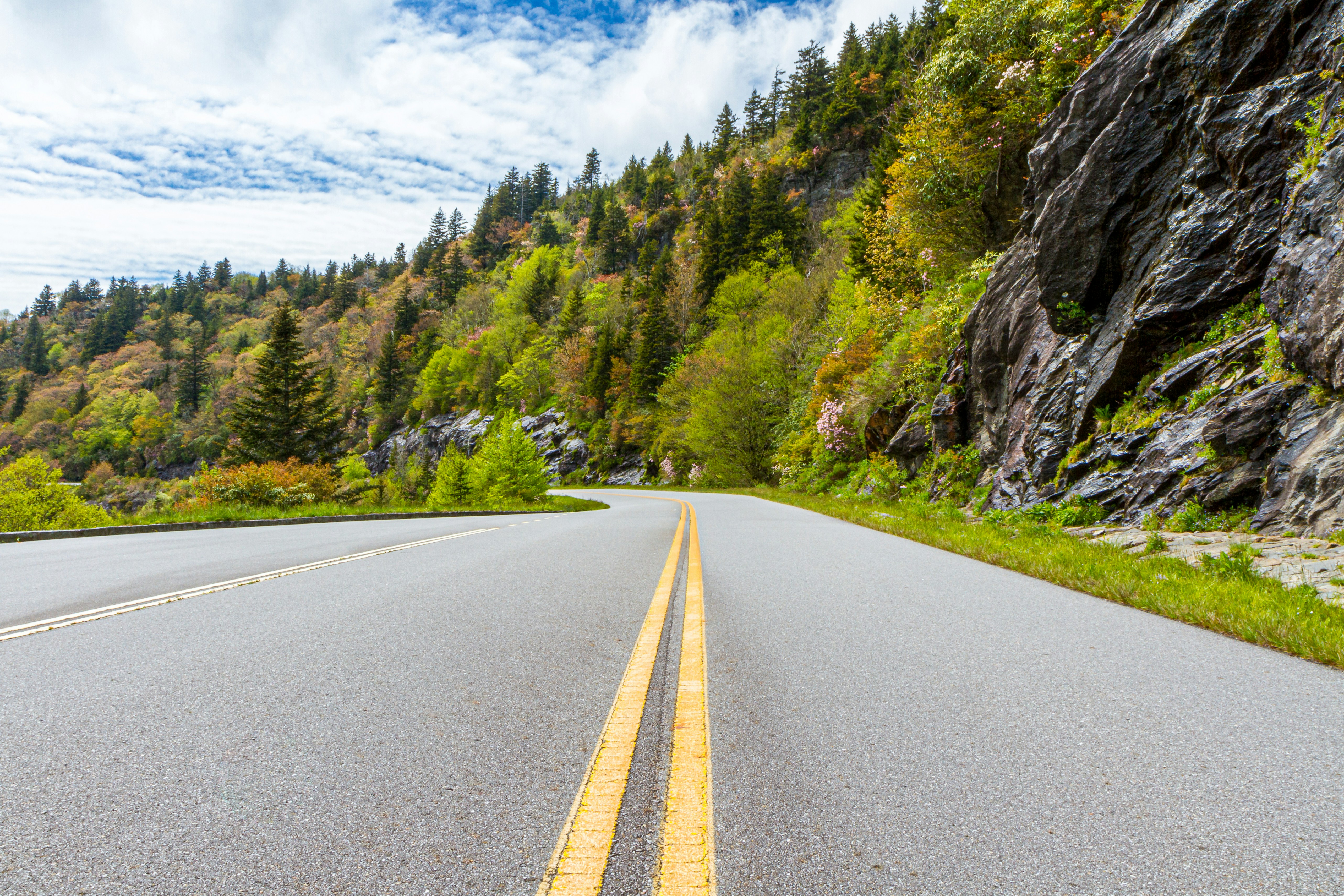 Cc0 Pictures [HD] | Download Free Images on Unsplash