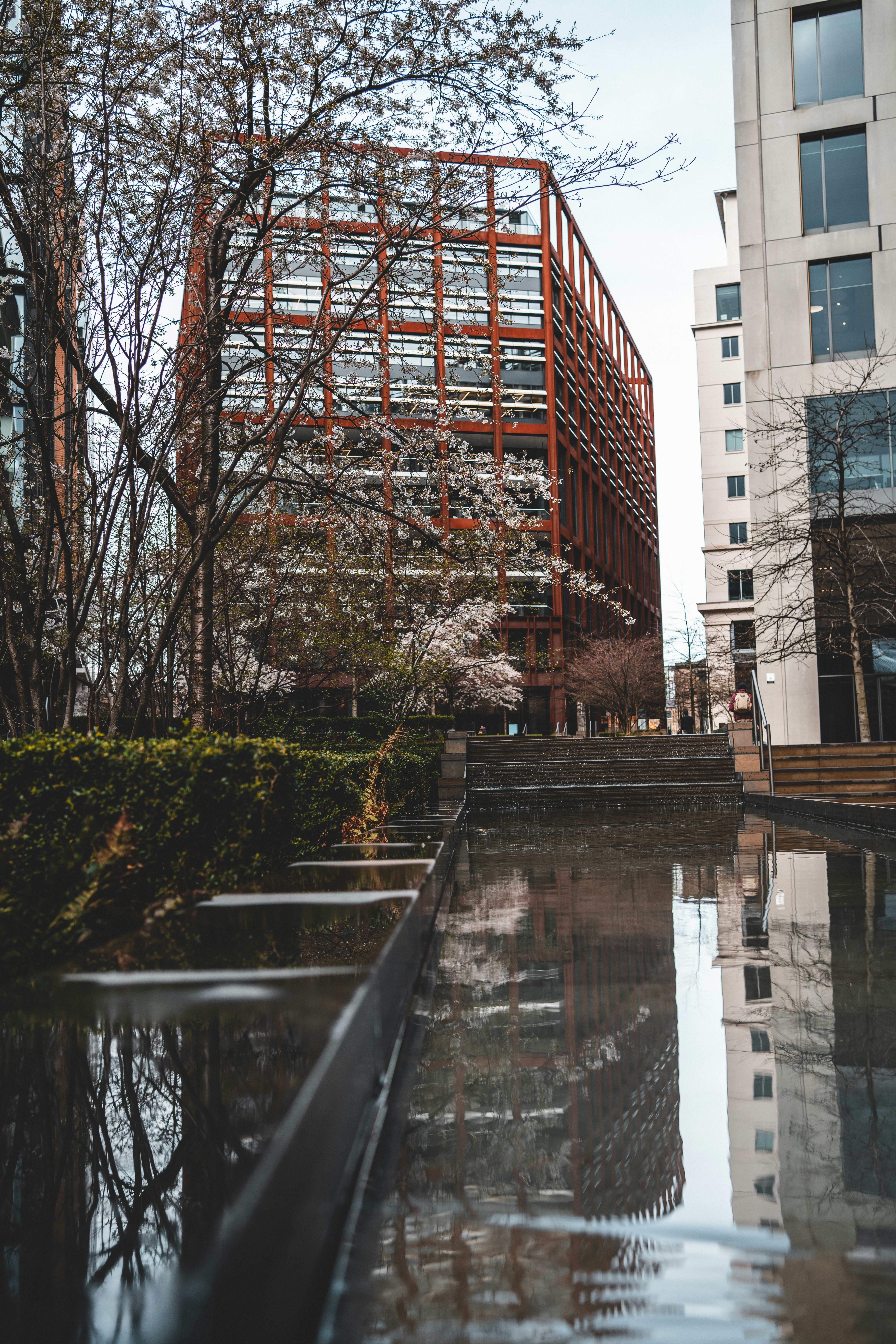 Bricks, Blossoms, and Reflections: An Urban Courtyard Portrait