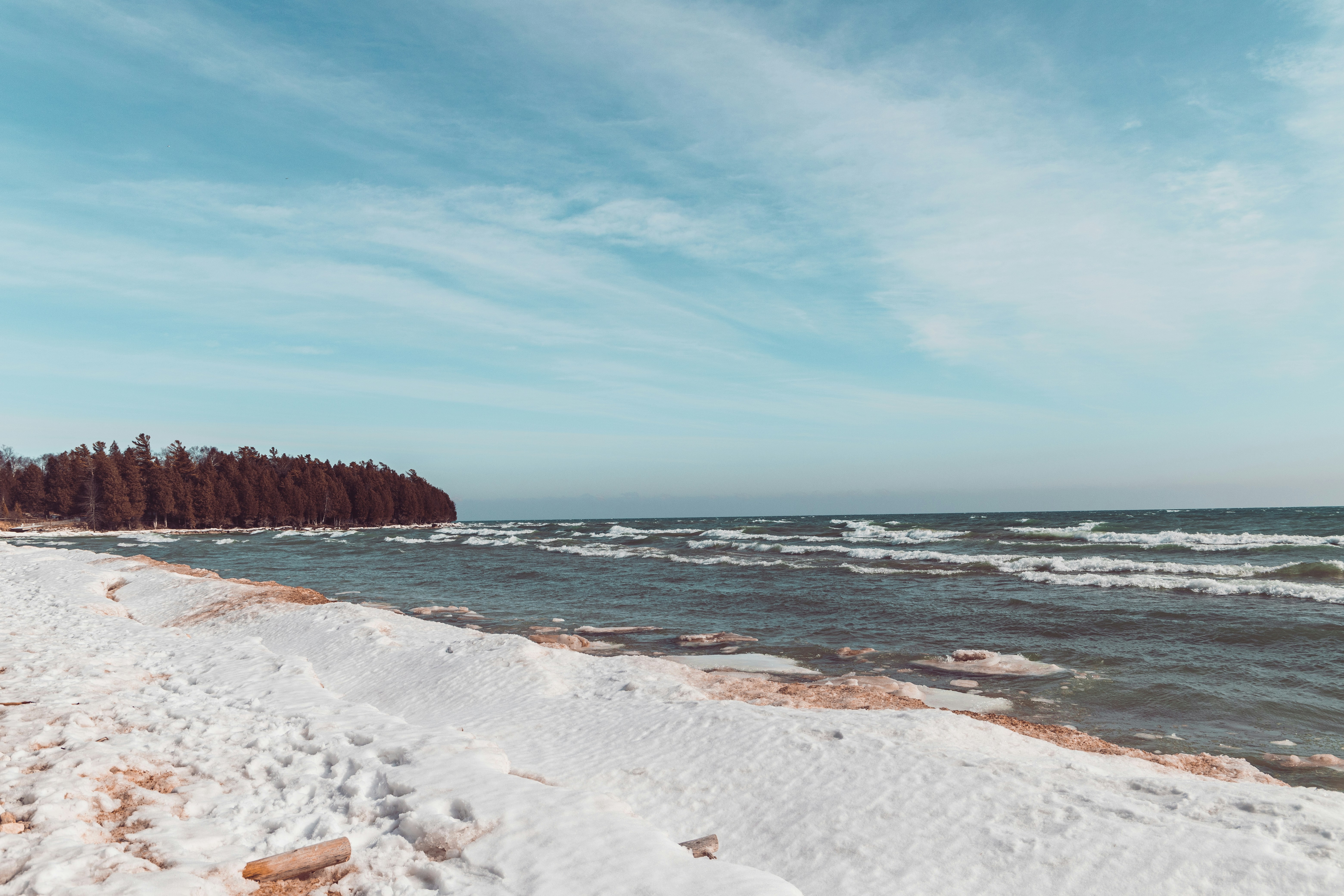 Snowbound Seashore: Pine Fringes and a Calm Blue Horizon