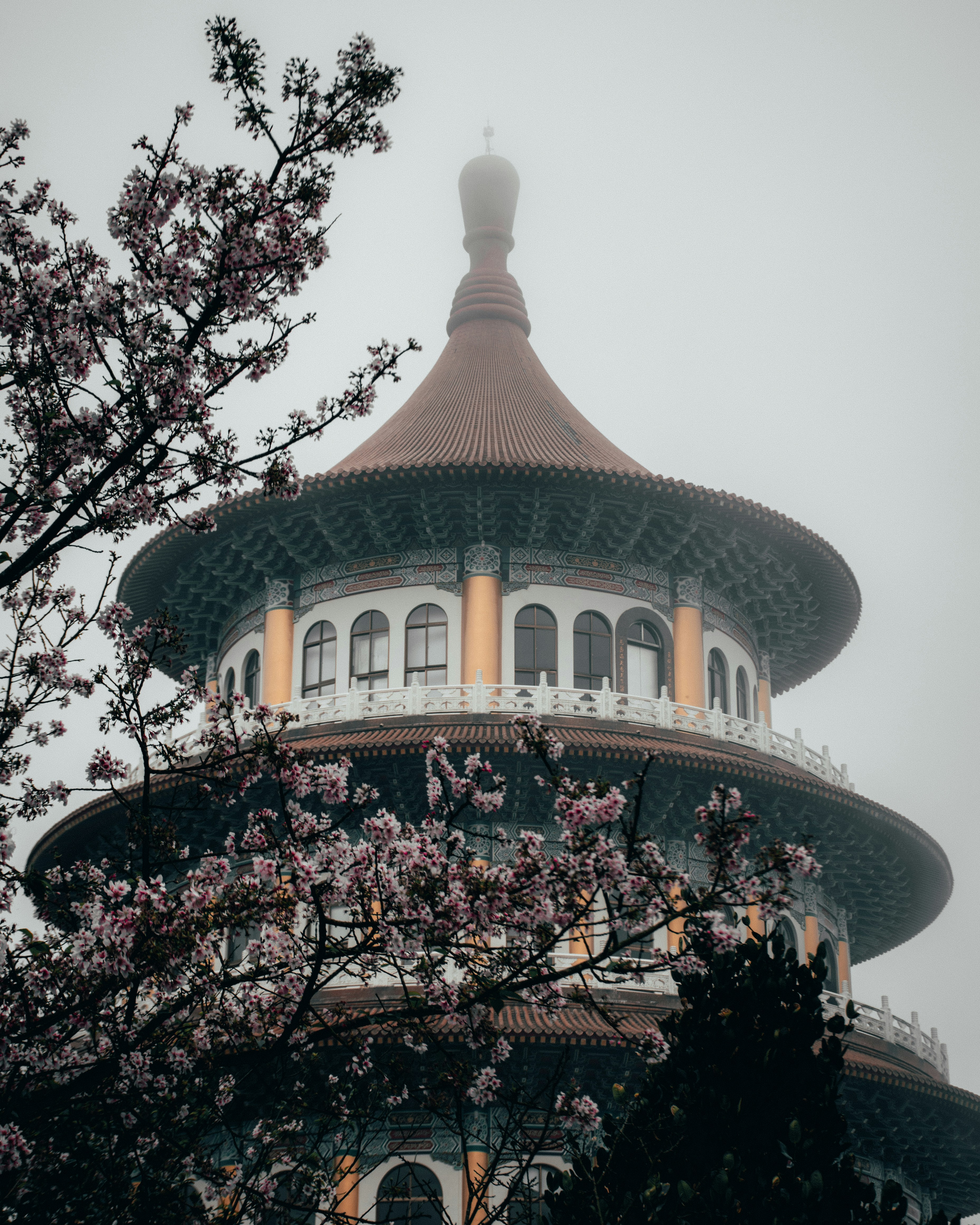 Balancing Spires: A Pagoda Amid Spring Blossoms