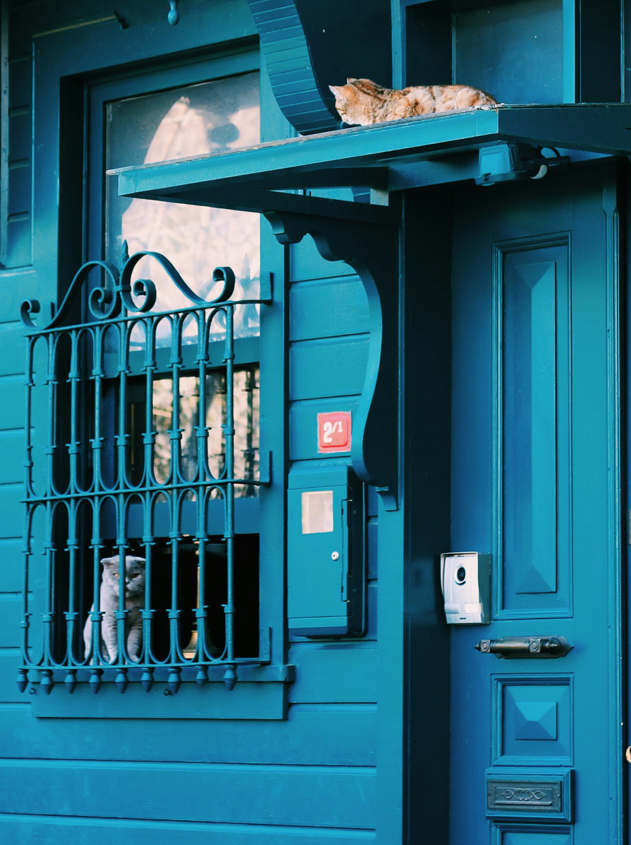 Foto Puerta de madera azul con portón de acero negro – Imagen Azul ...