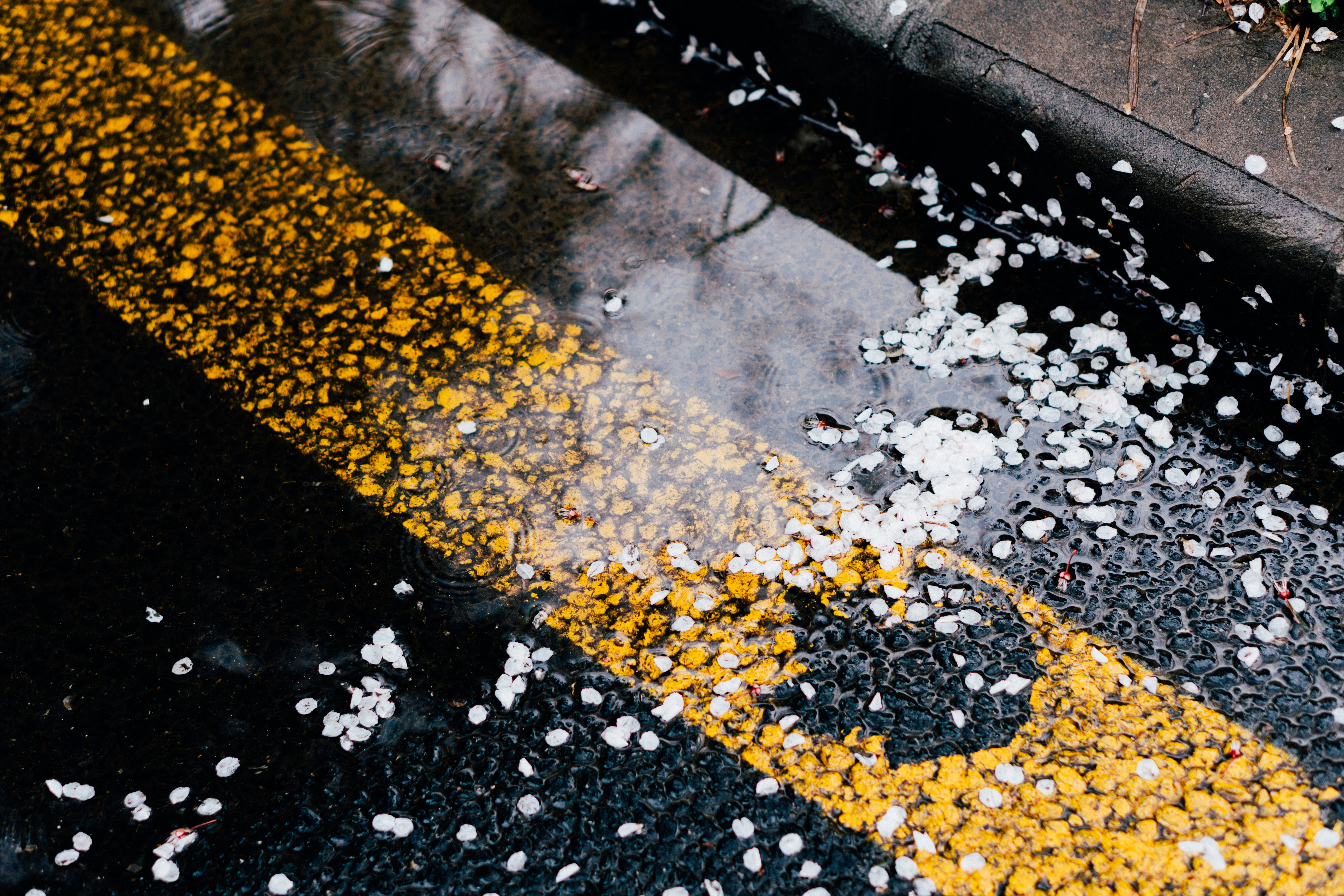 Diagonal Ember: Yellow Stripe Cutting Through Snow-speckled Asphalt