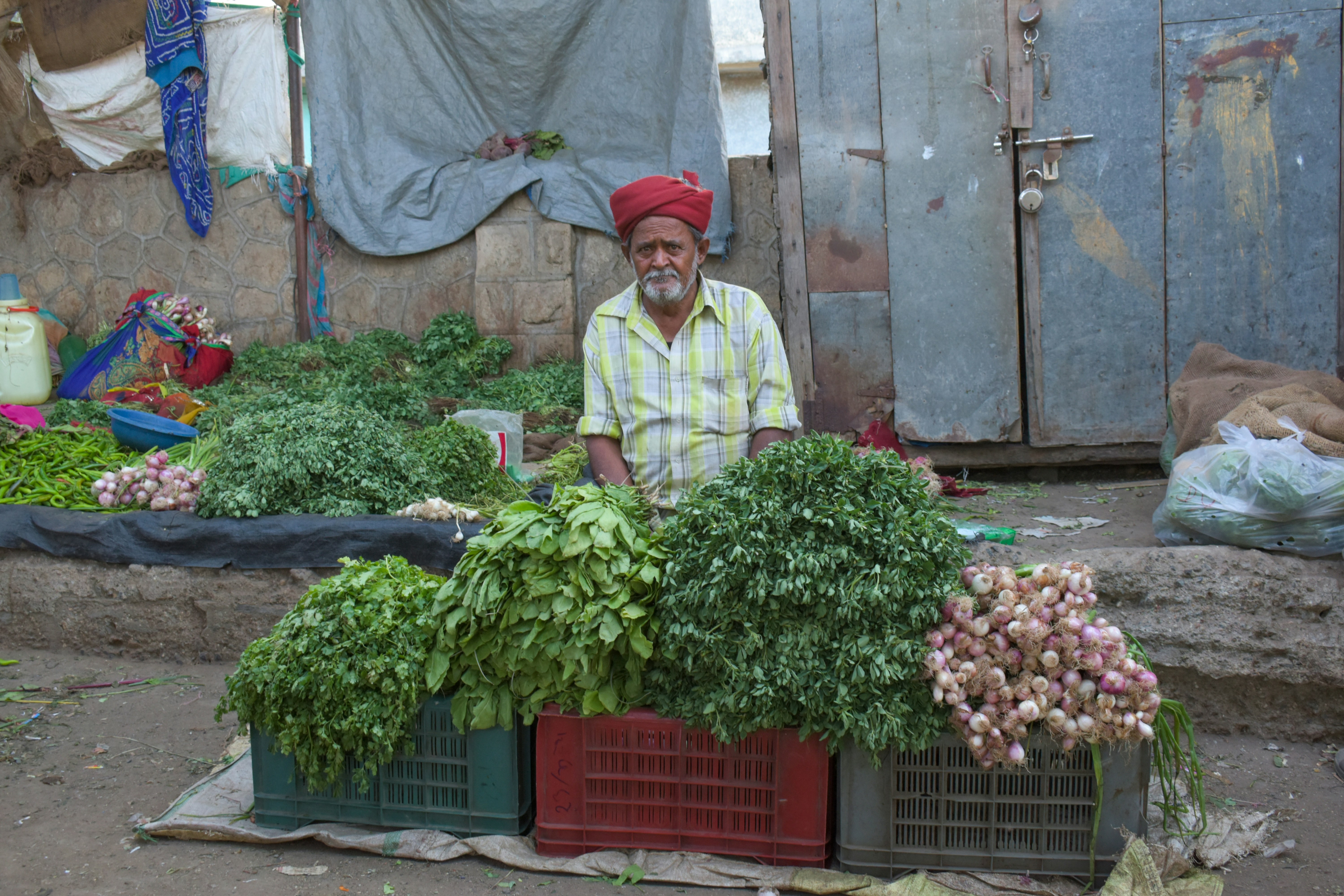 Verdant Front: A street vendor framed by fresh greens and onionsPrayag Tejwani
