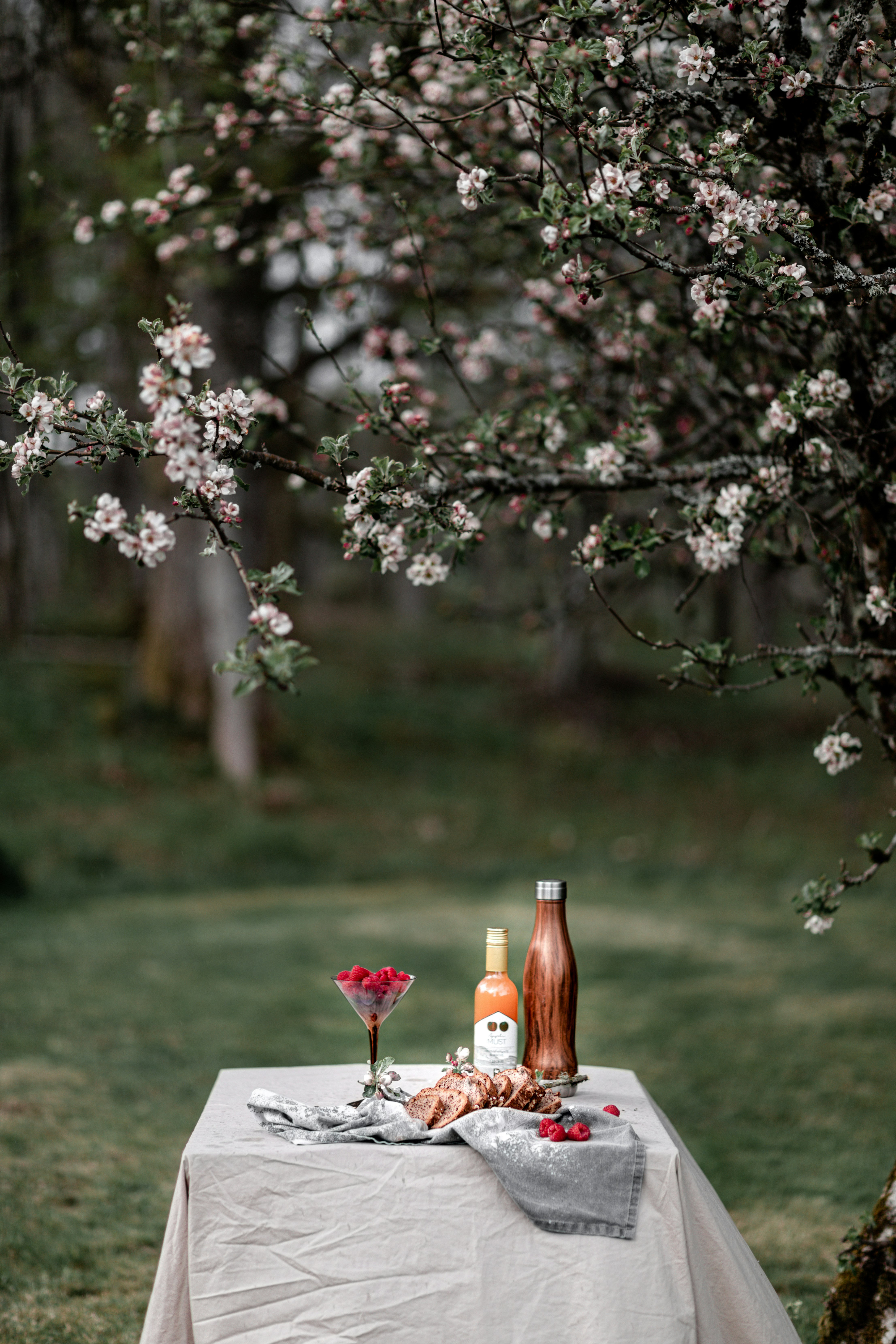 Blossoms Over the Table: An Outdoor Still Life of Cocktails and Croissants
