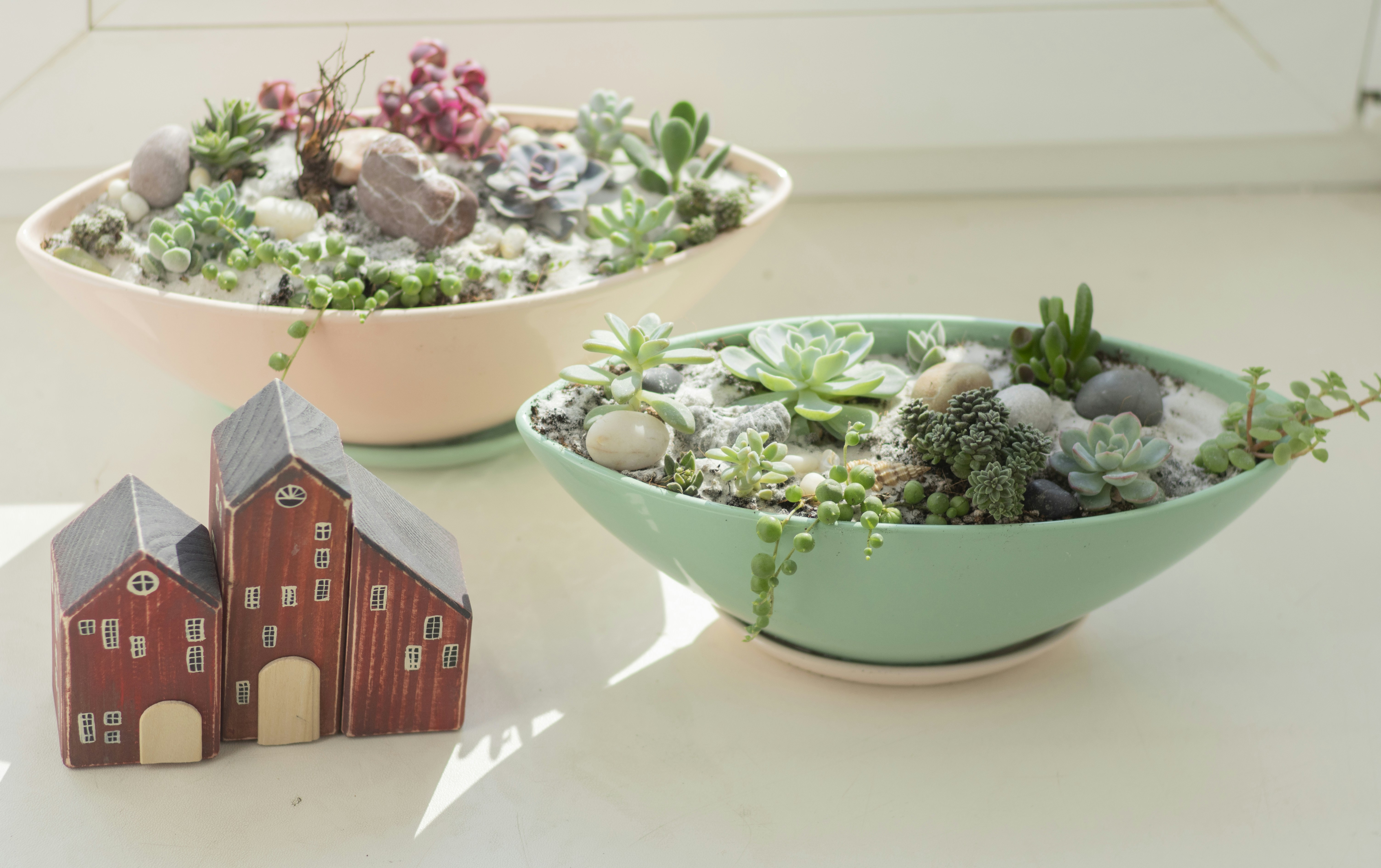 Morning Window Still-Life: Soft Light on Succulents and Tiny Homes