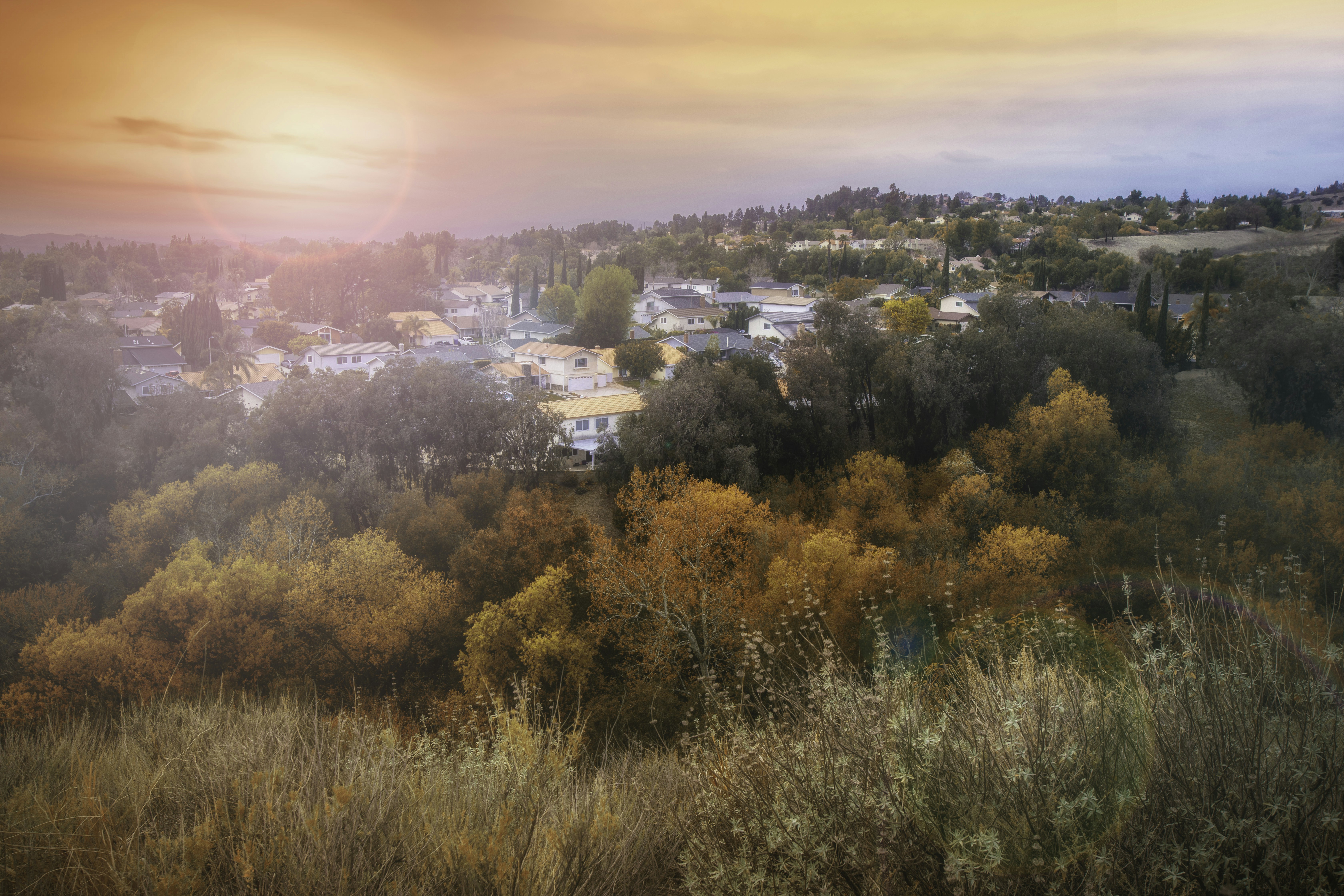 Sunset casts a warm glow over a landscape of autumn trees and distant houses.
