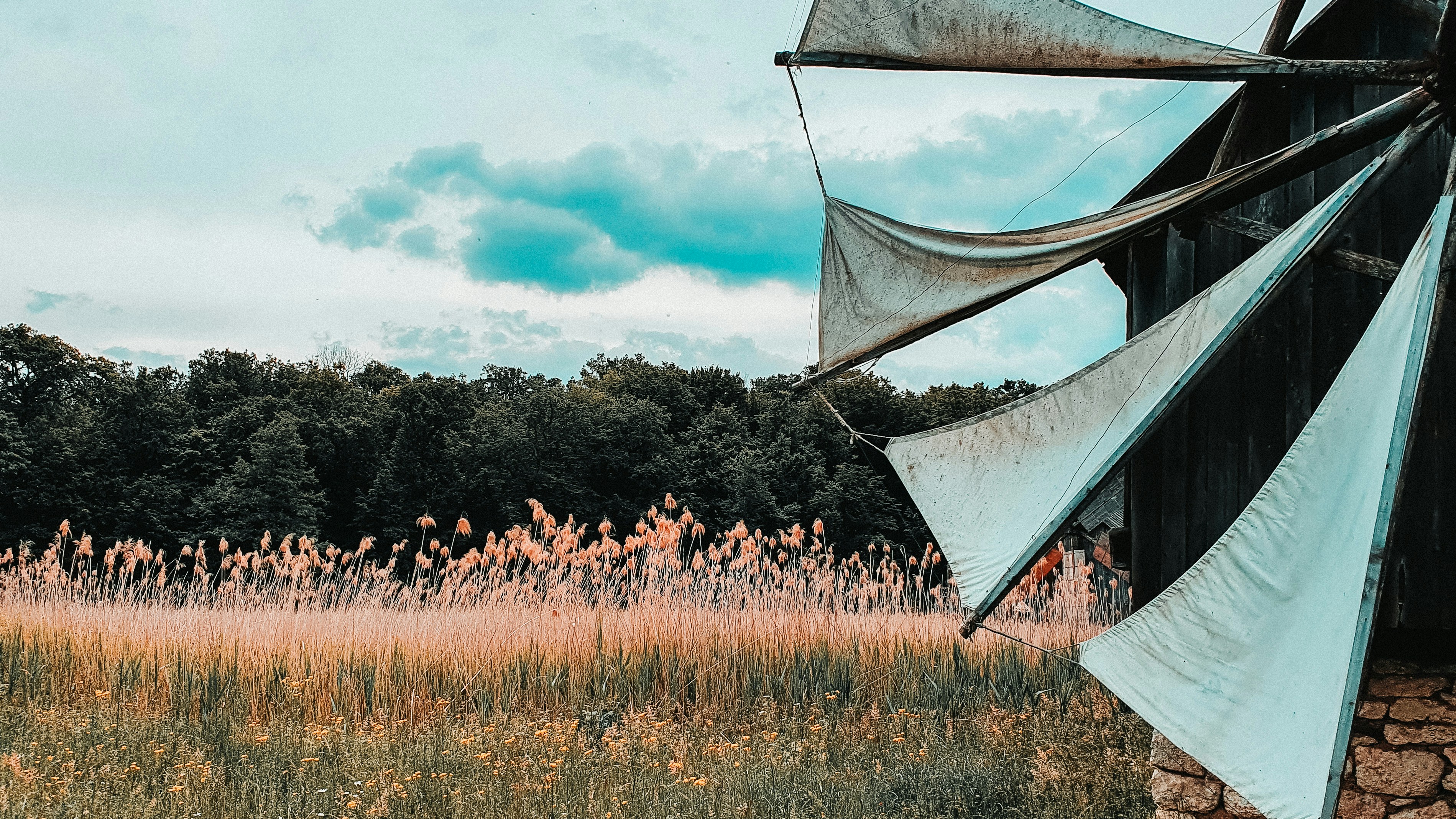 Sails Against a Sea of Amber: A Windmill at the Edge of a Quiet Field