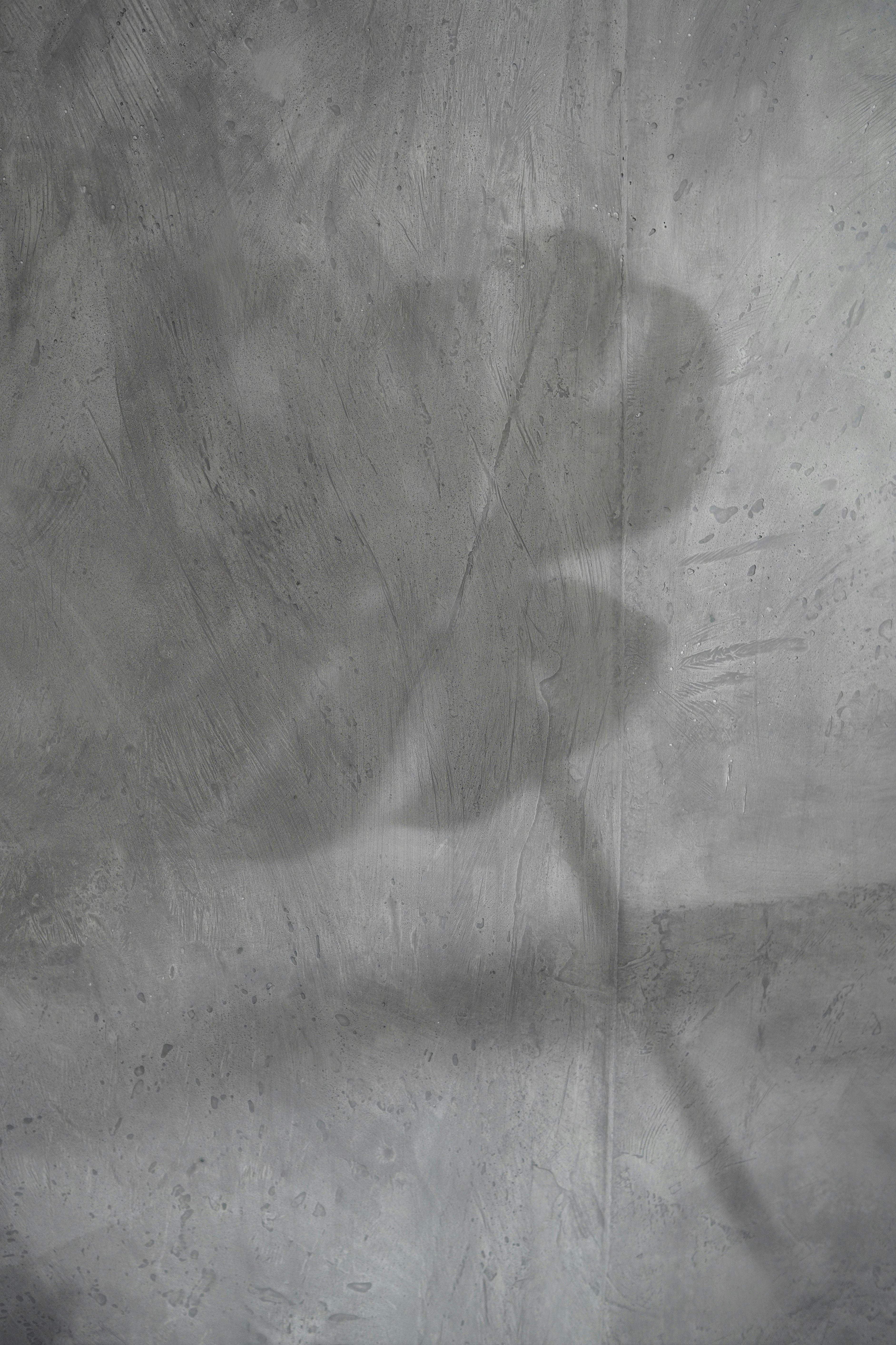 Delicate shadow of a flower cast against a textured gray surface, evoking a sense of tranquility and introspection.