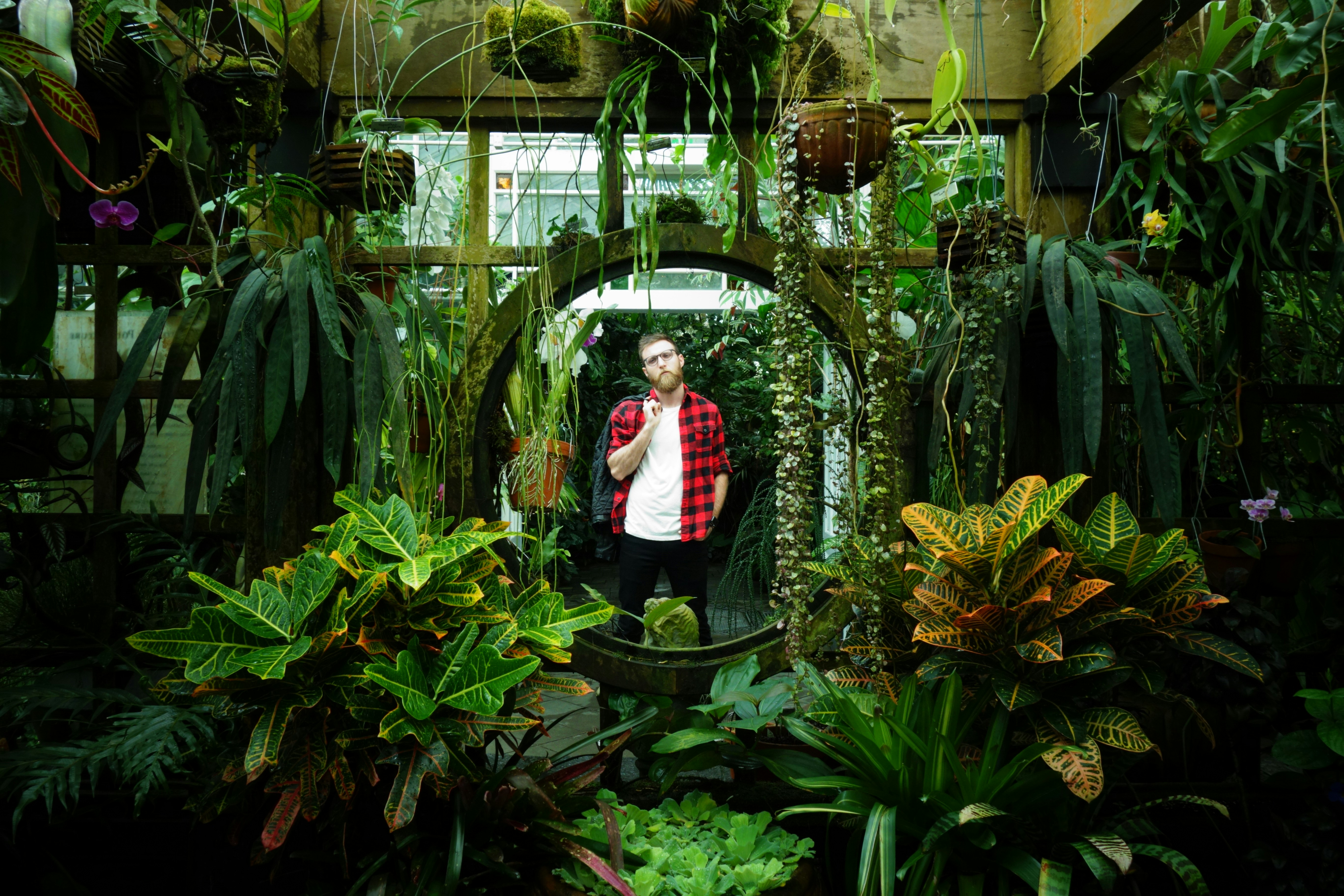 man in red and white long sleeve shirt standing beside green plants