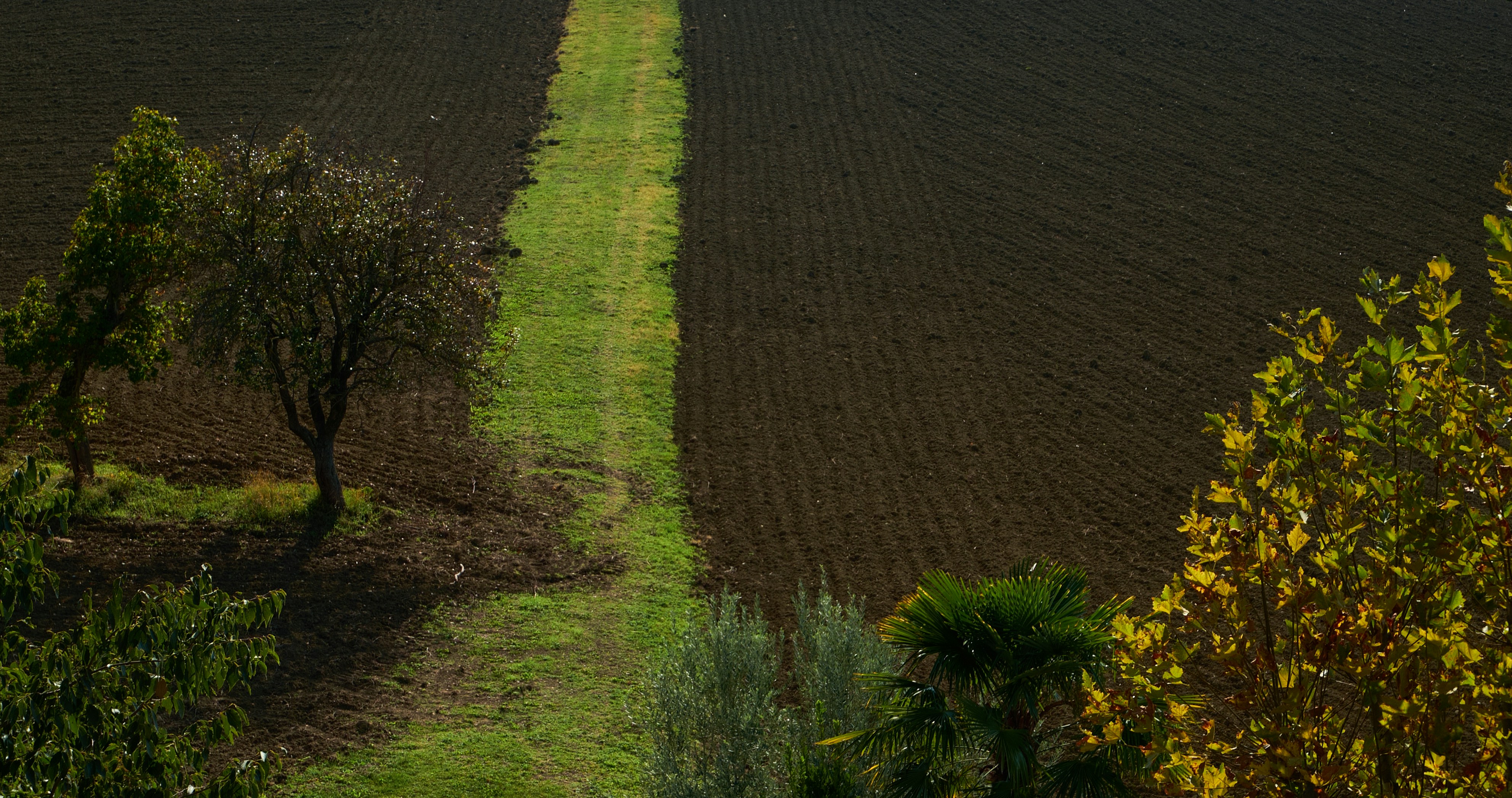Plowed field on a sunny autumn day