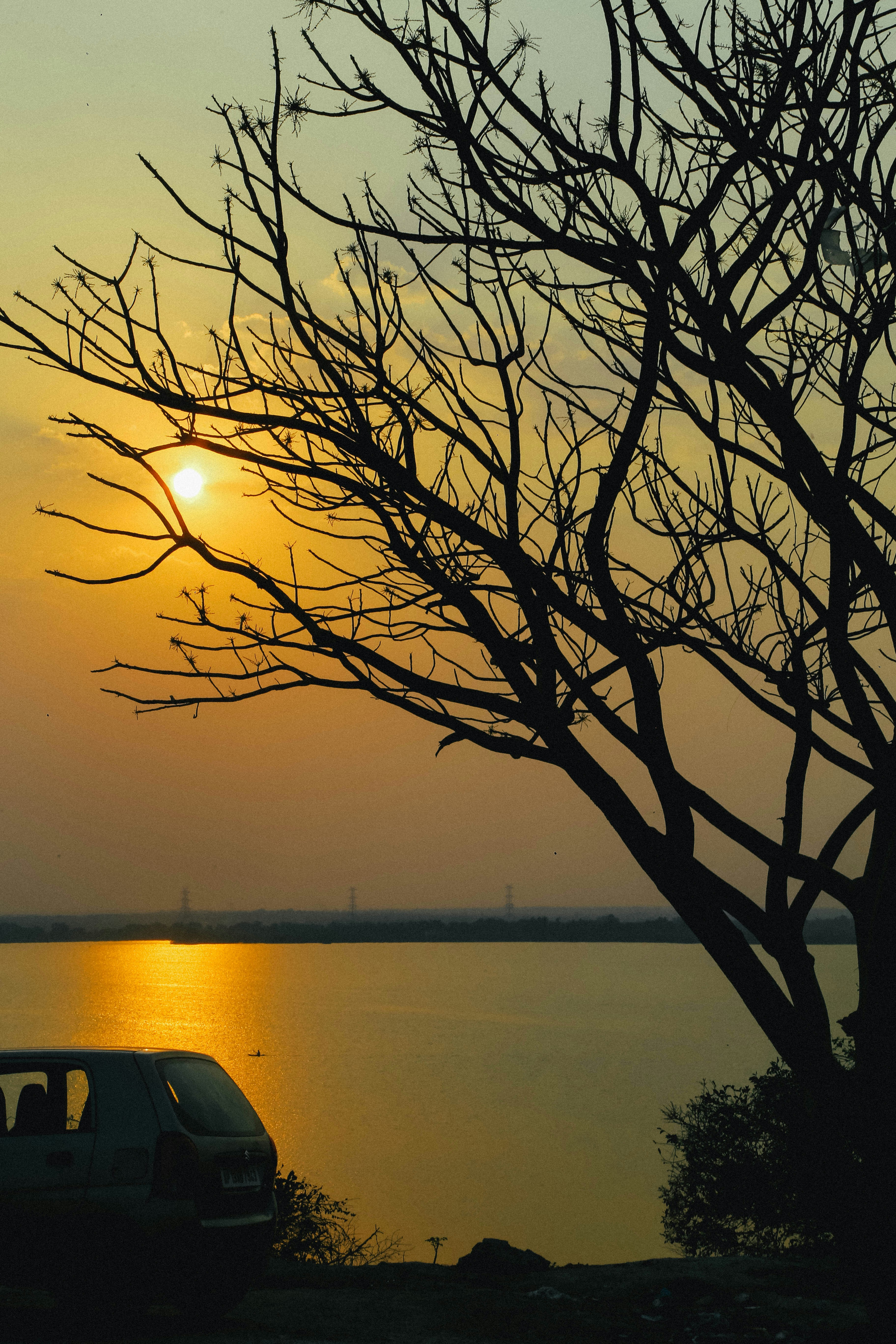 Leafless tree near body of water during sunset photo – Free Car Image ...
