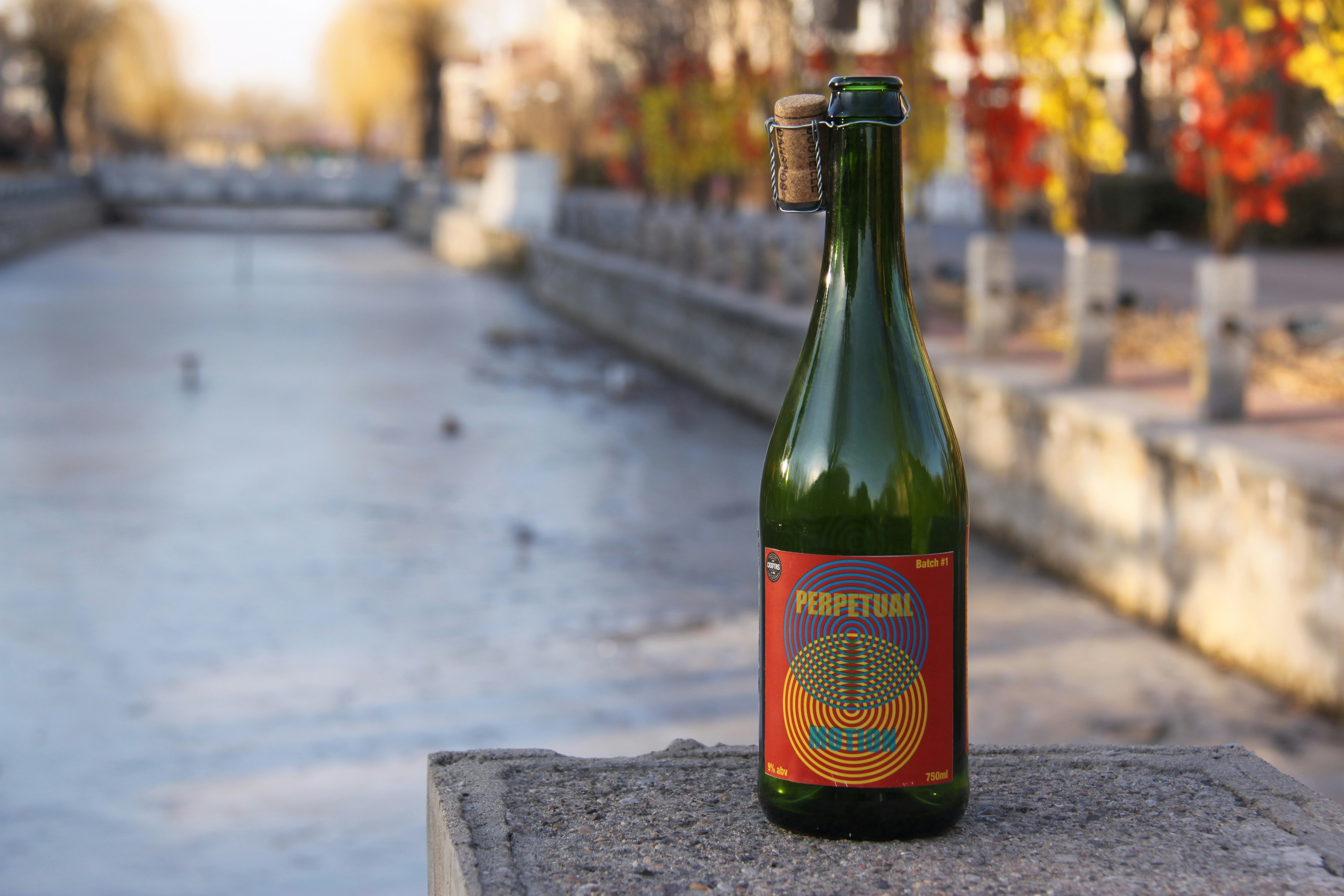 A green bottle with a colorful label titled 'PERPETUA' sits on a stone ledge beside a serene canal, surrounded by autumn foliage. The scene captures the essence of seasonal transition.