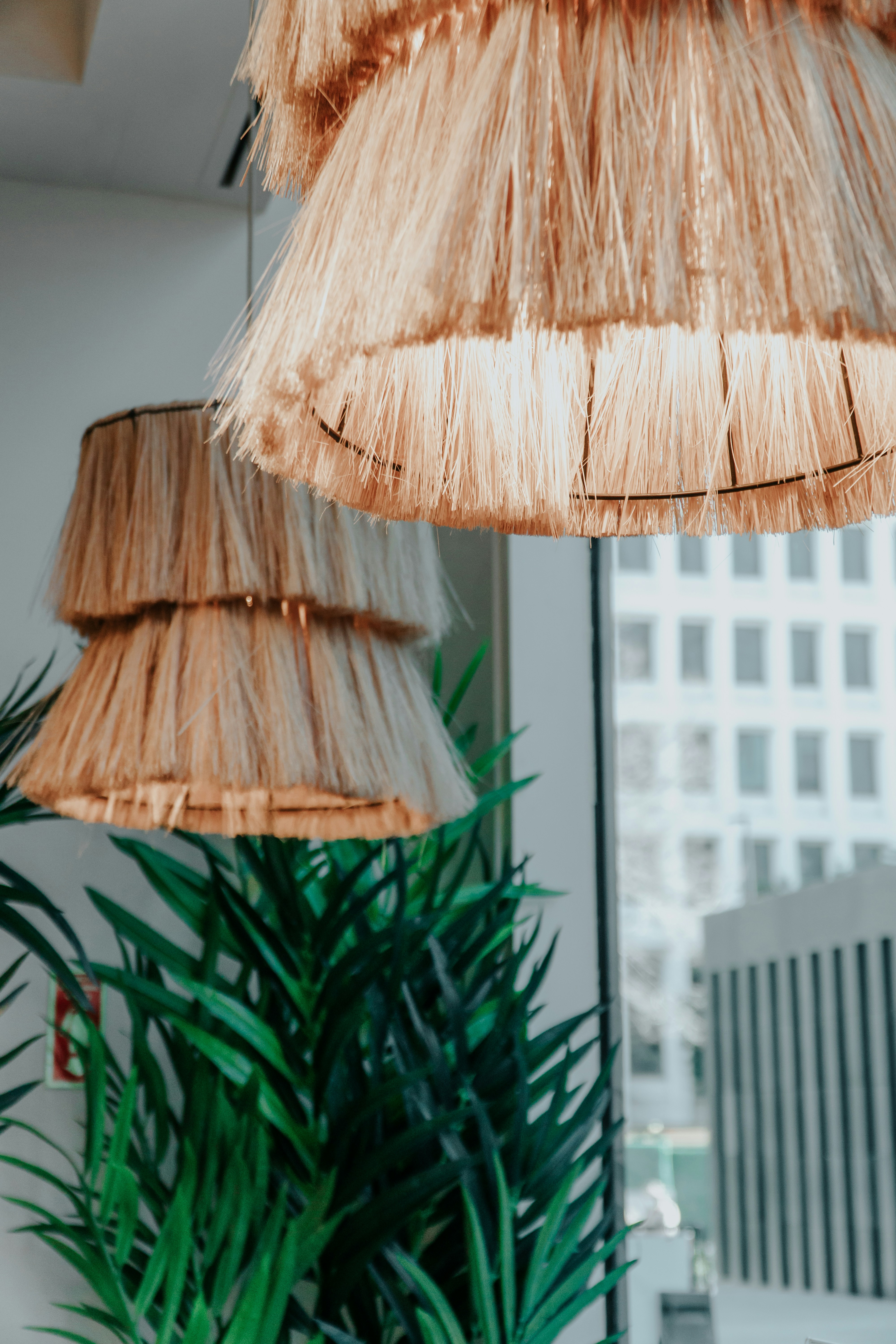 Straw-Lamps and Urban Light: A Quiet Green Corner by the Window