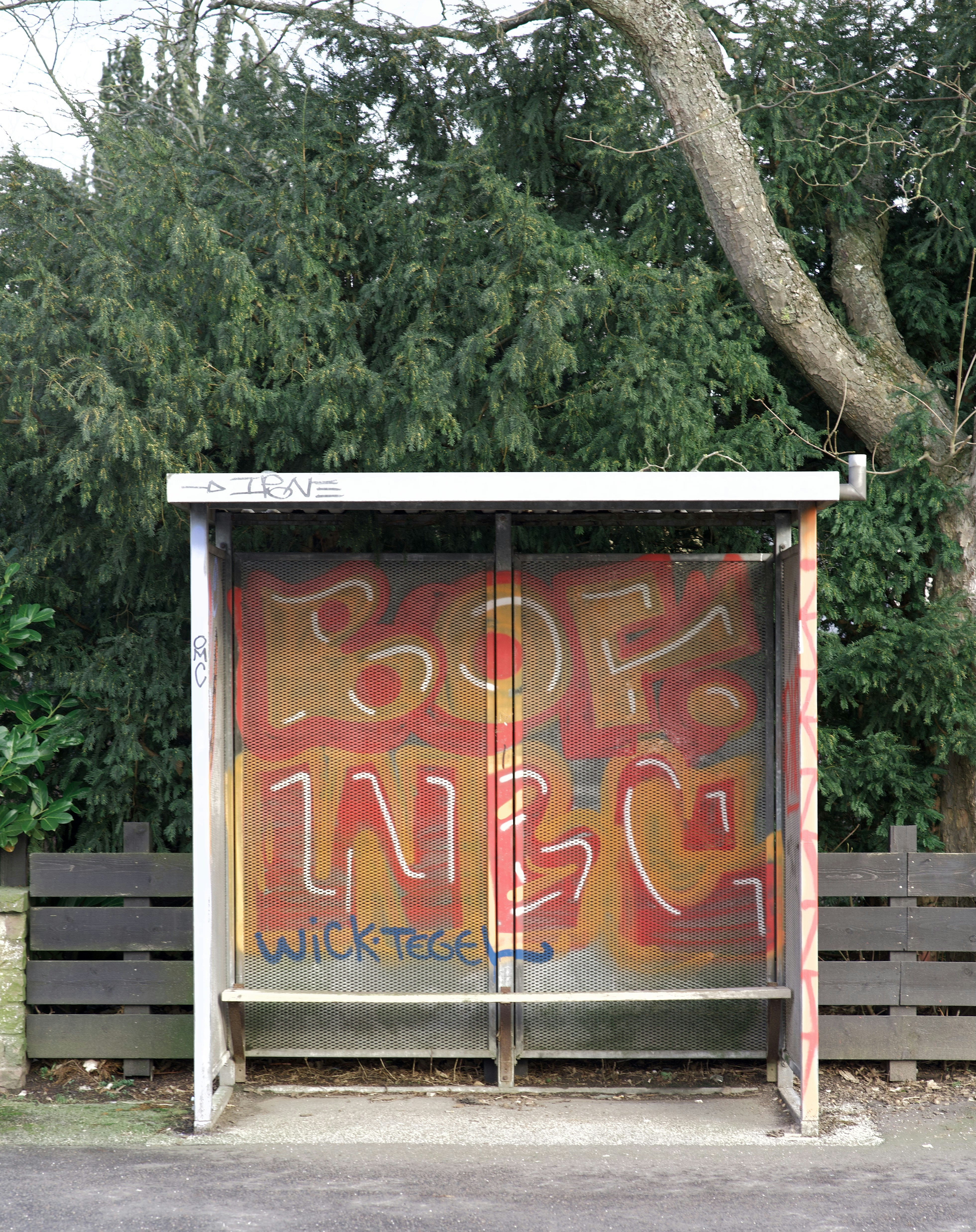 Graffiti-Grade Bus Stop: Orange Lettering Framed by an Evergreen Canopy