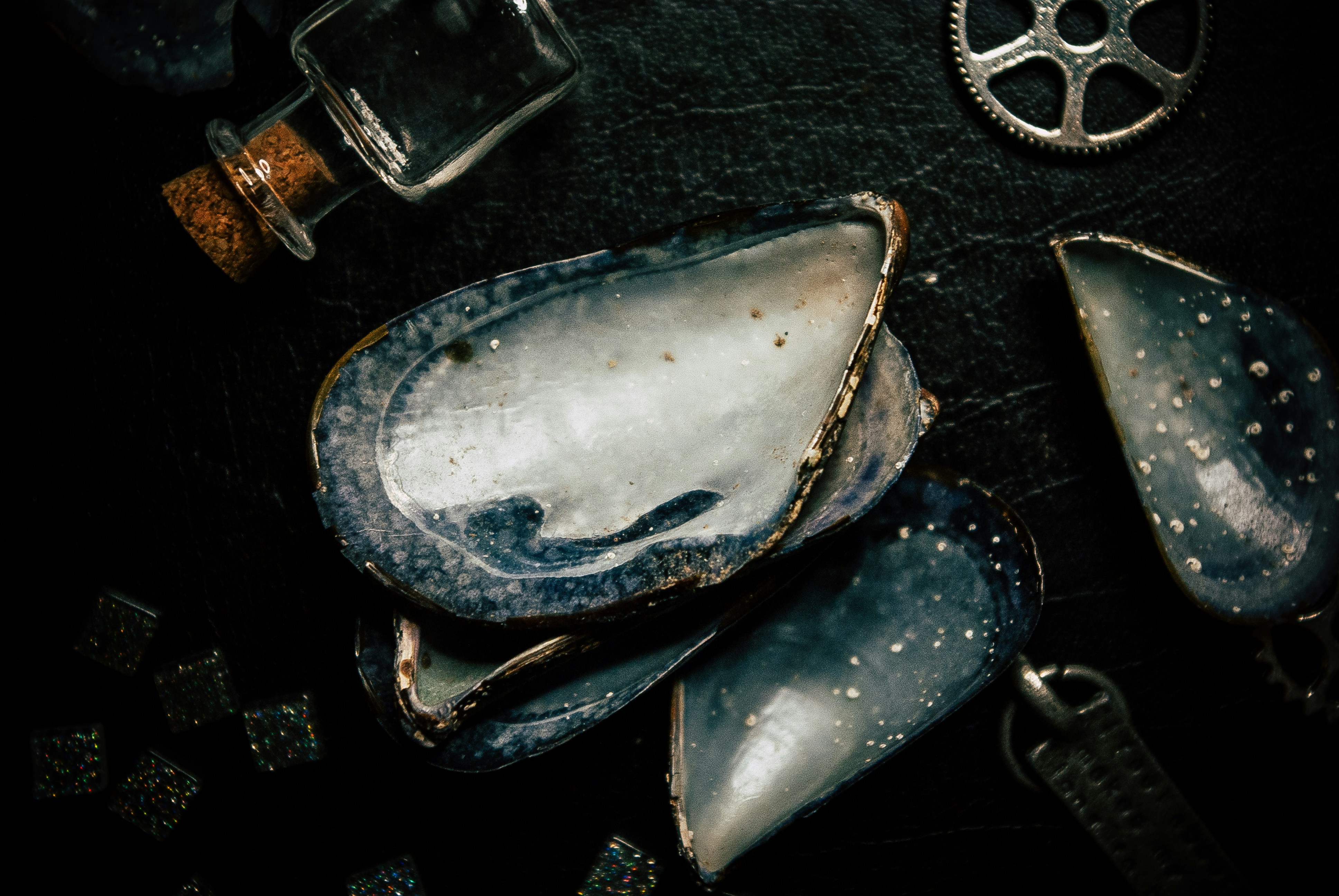 Open mussel shells surrounded by vintage objects and sparkly fragments on a dark surface.