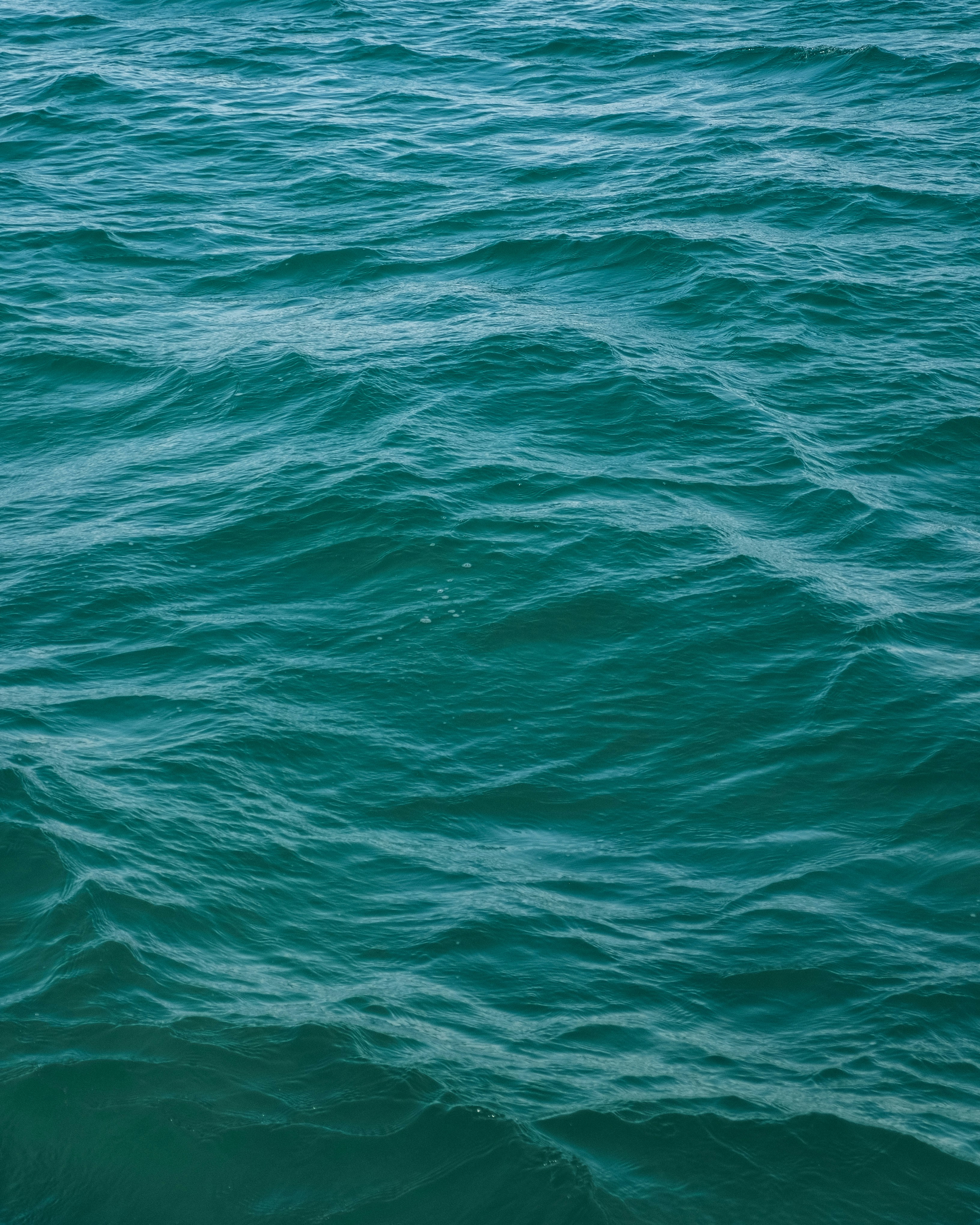 1K+ Sea Water Pictures | Download Free Images on Unsplash