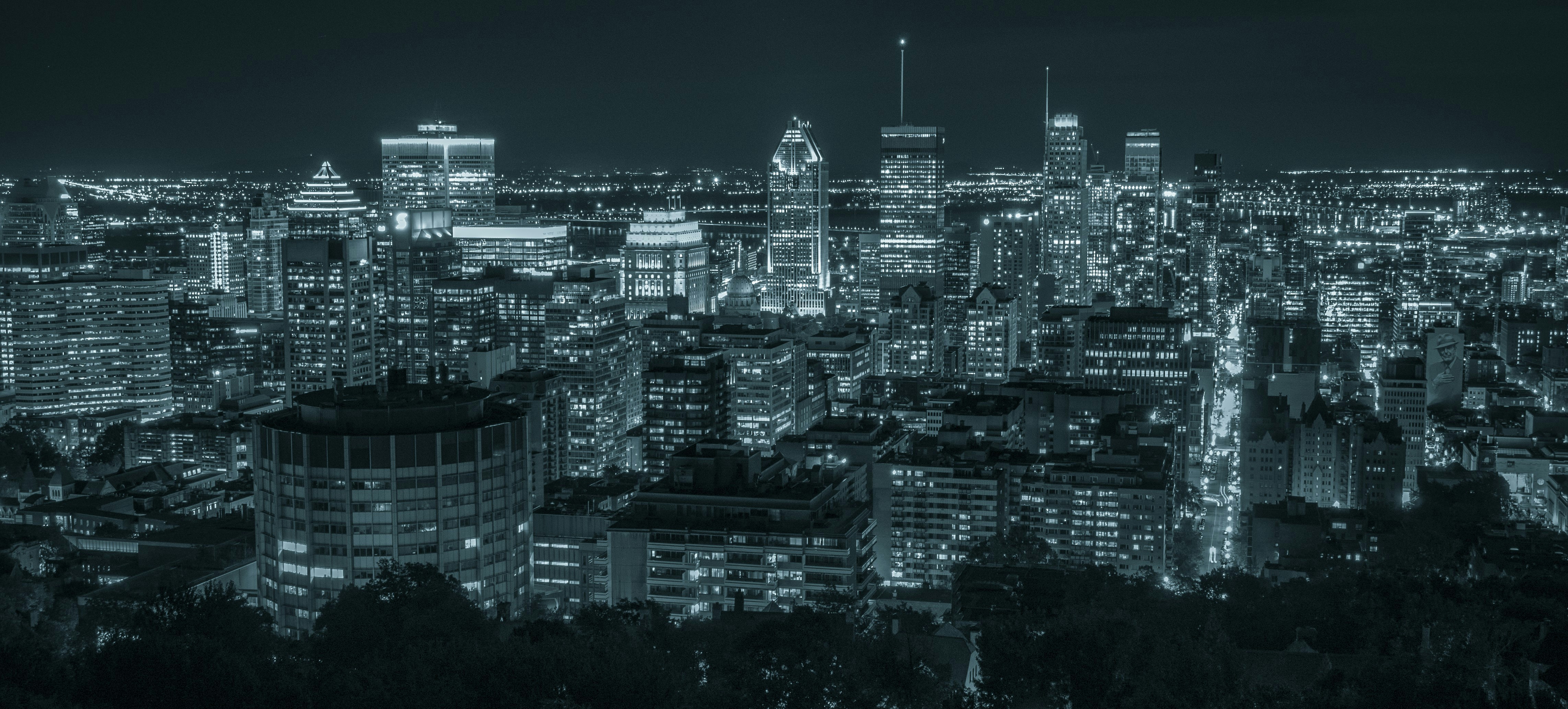 Grayscale cityscape at night with illuminated buildings and a clear skyline.