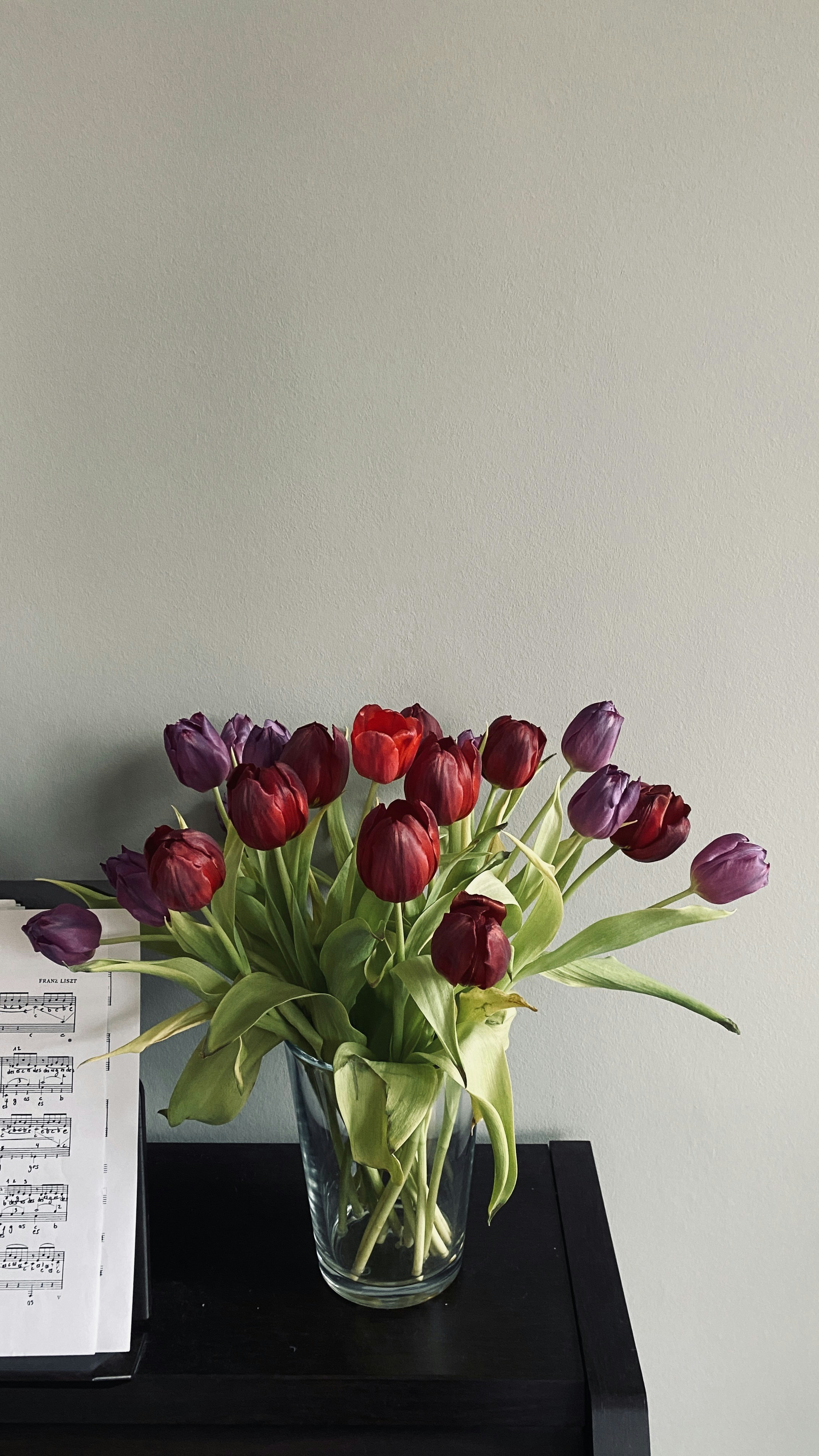 Vibrant bouquet of red and purple tulips arranged in a clear vase on a dark surface beside sheet music. The soft gray wall serves as a subtle backdrop.