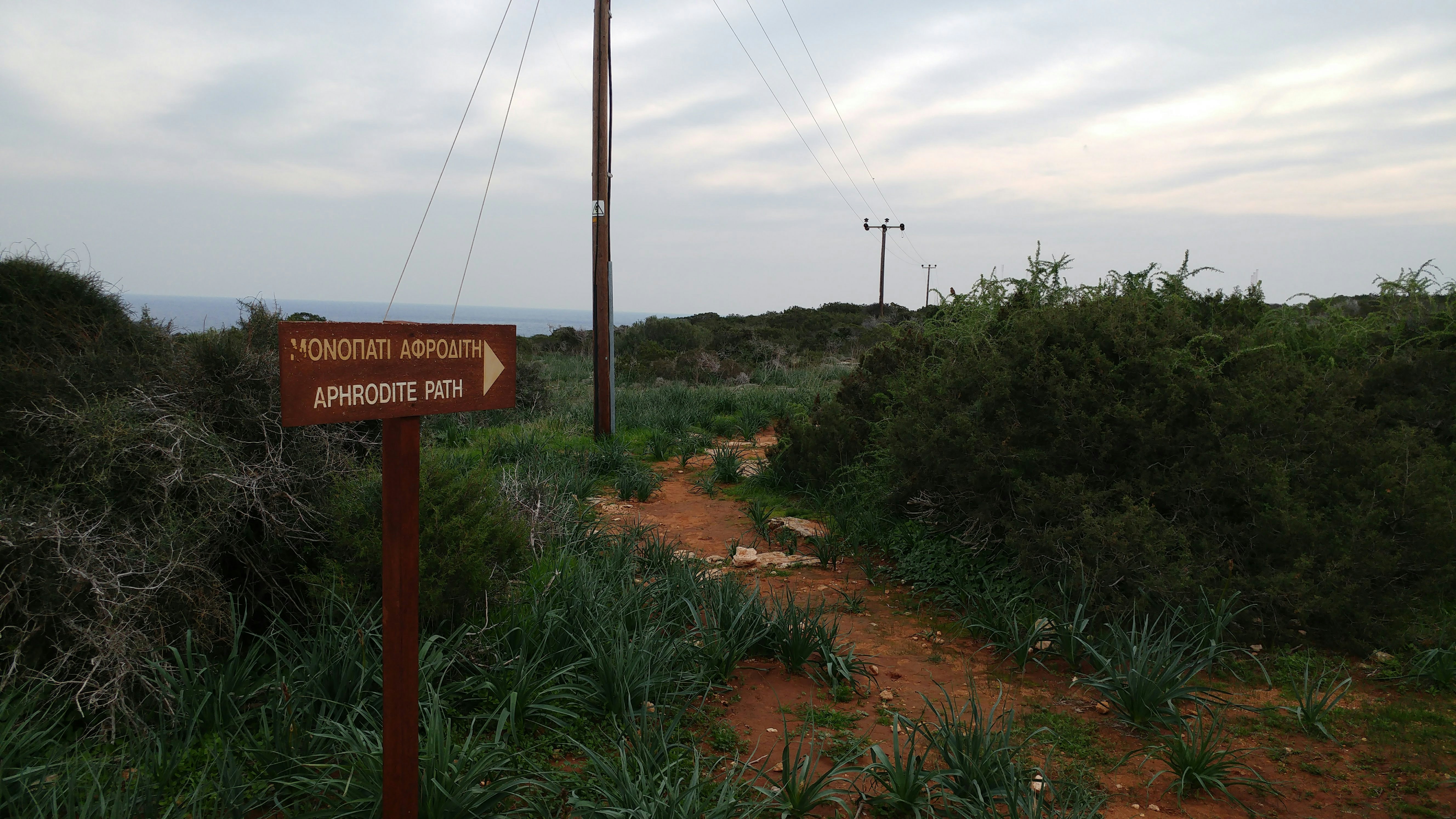 Wooden signpost marking the Aphrodite path surrounded by lush greenery and a cloudy sky.