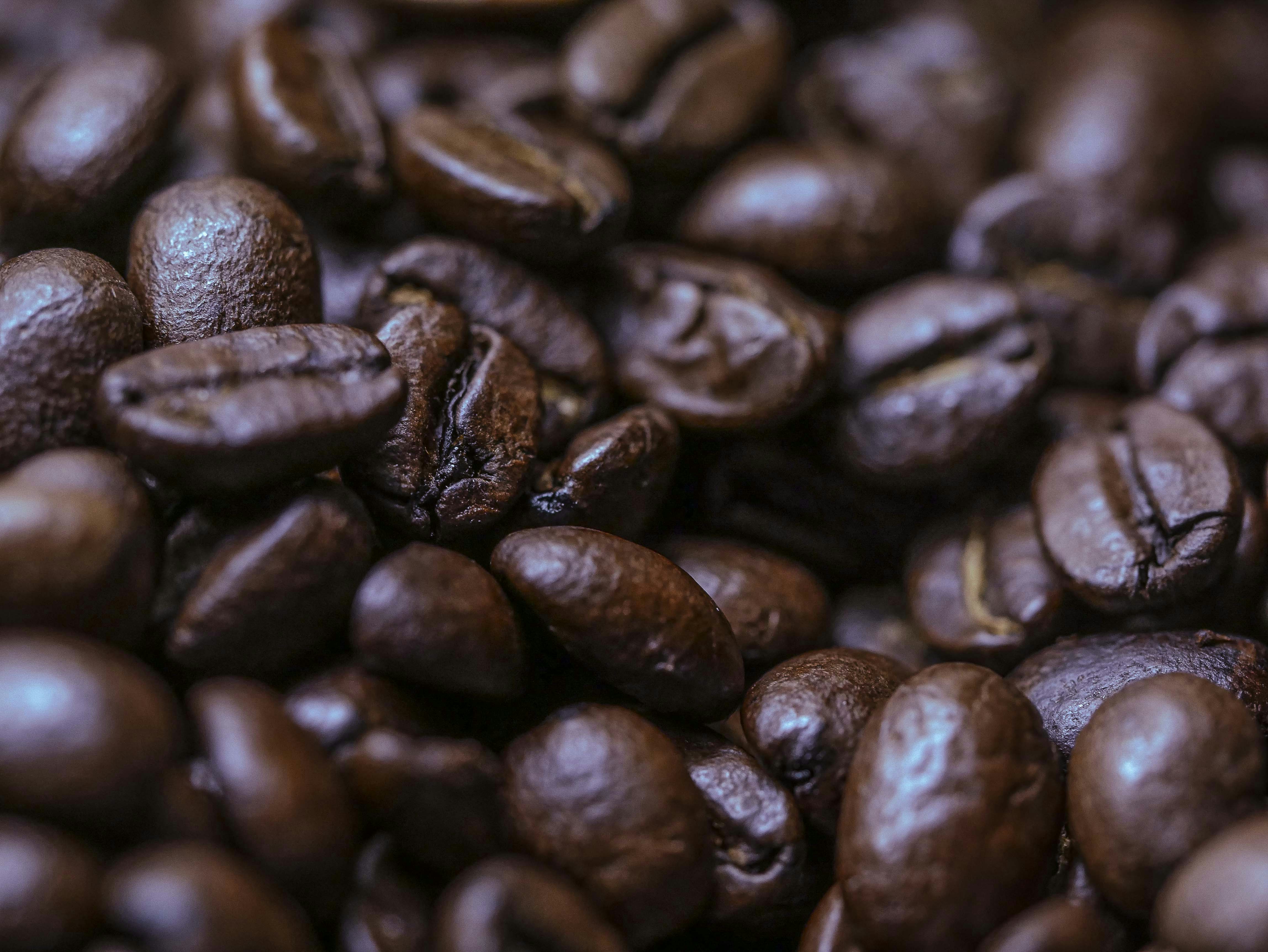 Close-up of dark roasted coffee beans showcasing their rich textures and color variations.