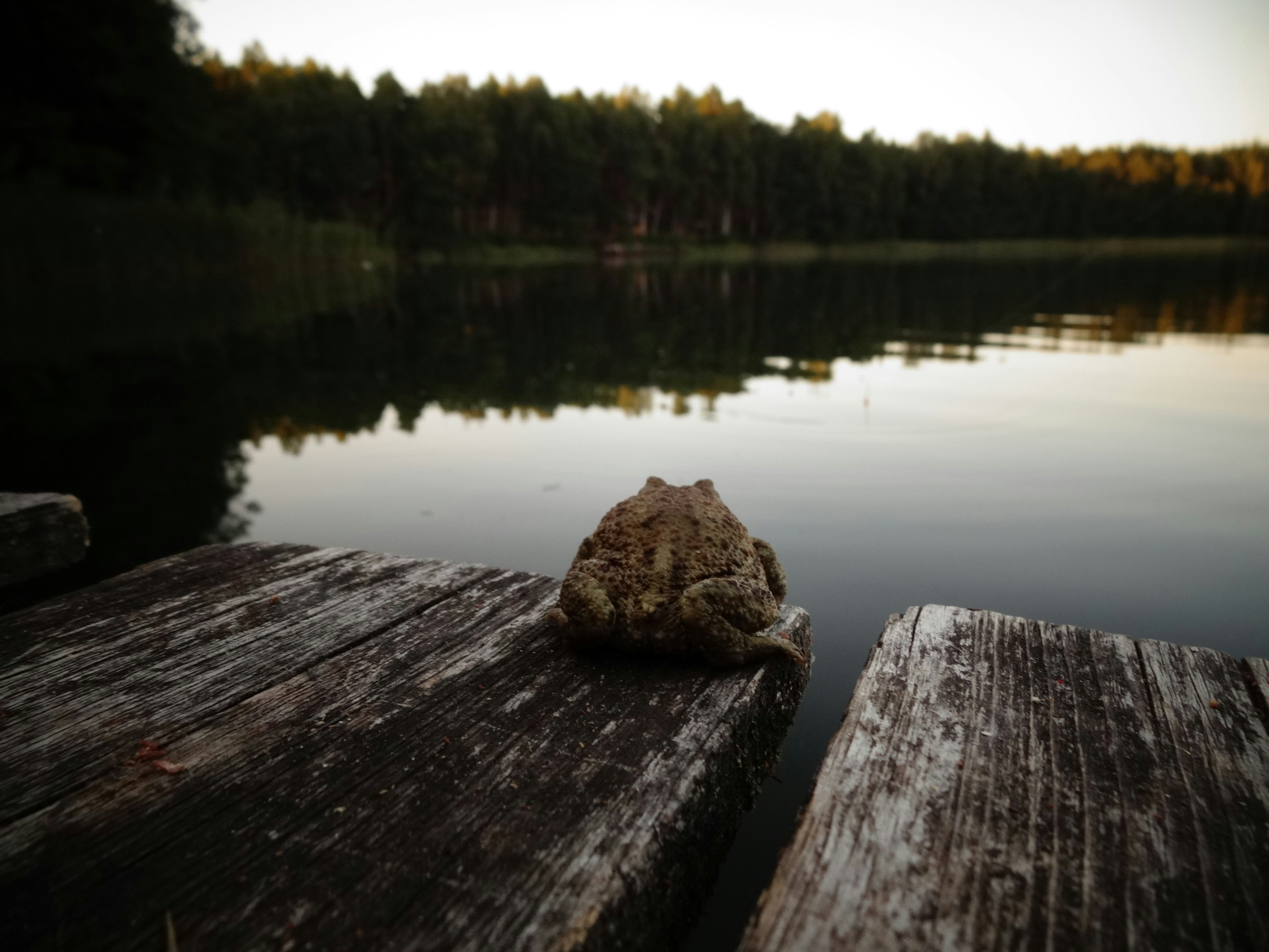 Weathered dock stone anchors the lake’s edge at sunset