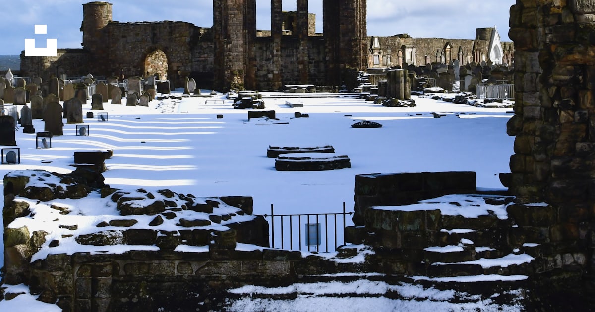 昼間、茶色のコンクリートの建物の近くのドックに浮かぶ白いボートの写真 Unsplashのクリスマスの無料画像