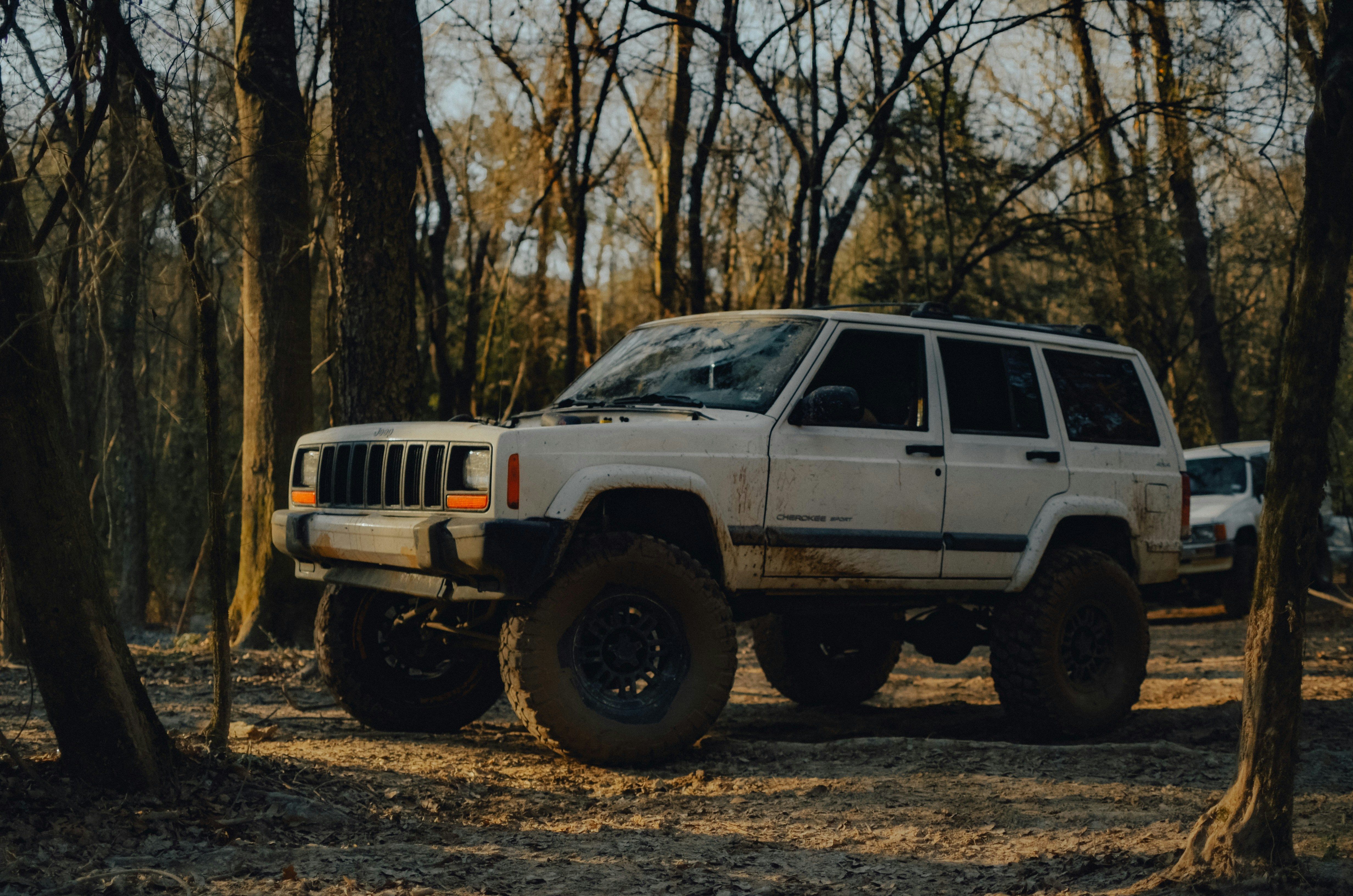 Mud-Splashed 4x4 Holds Ground on a Dappled Forest Trail