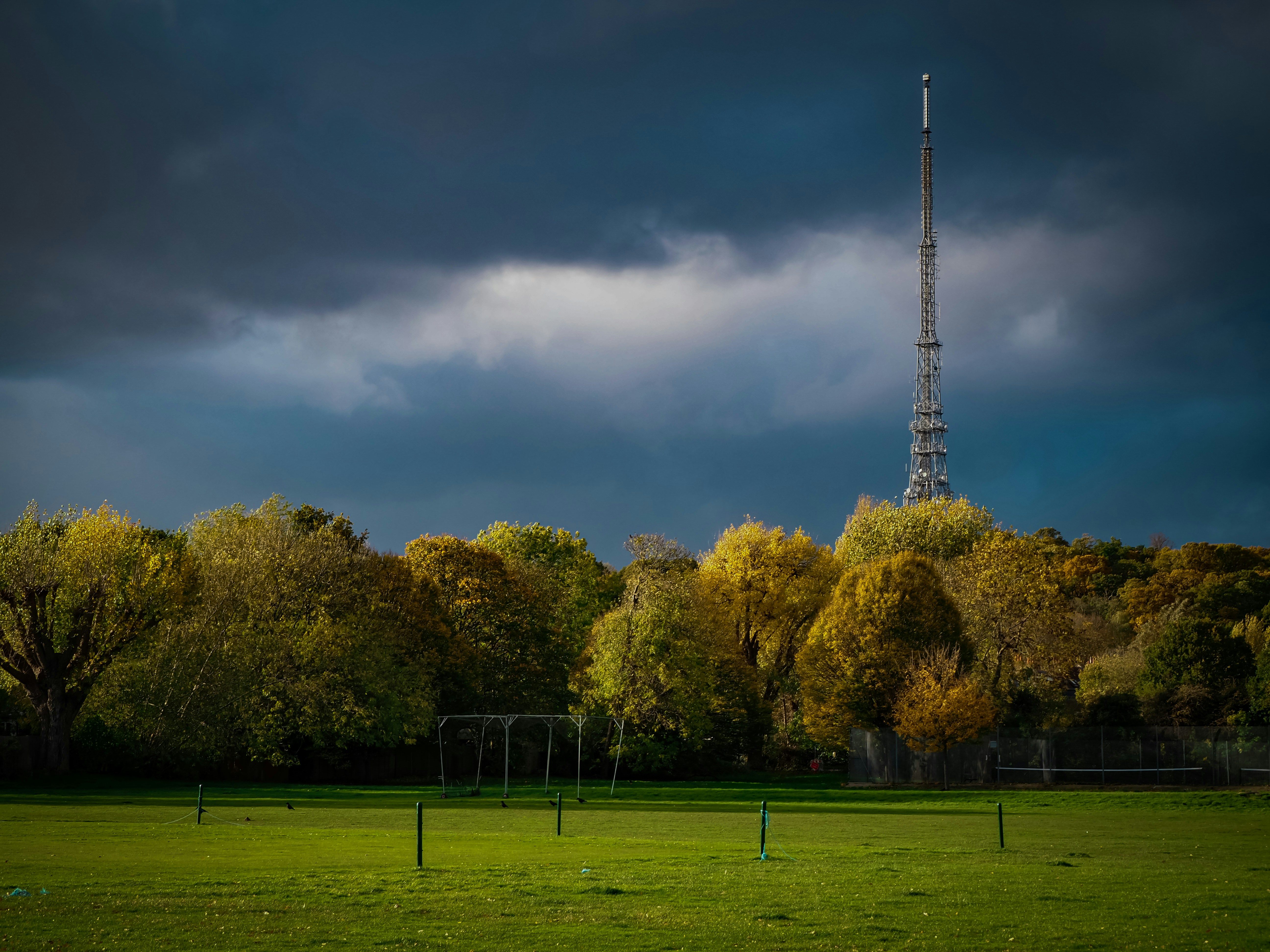 Break in the Storm: A Lone Mast Behind Autumn Canopy