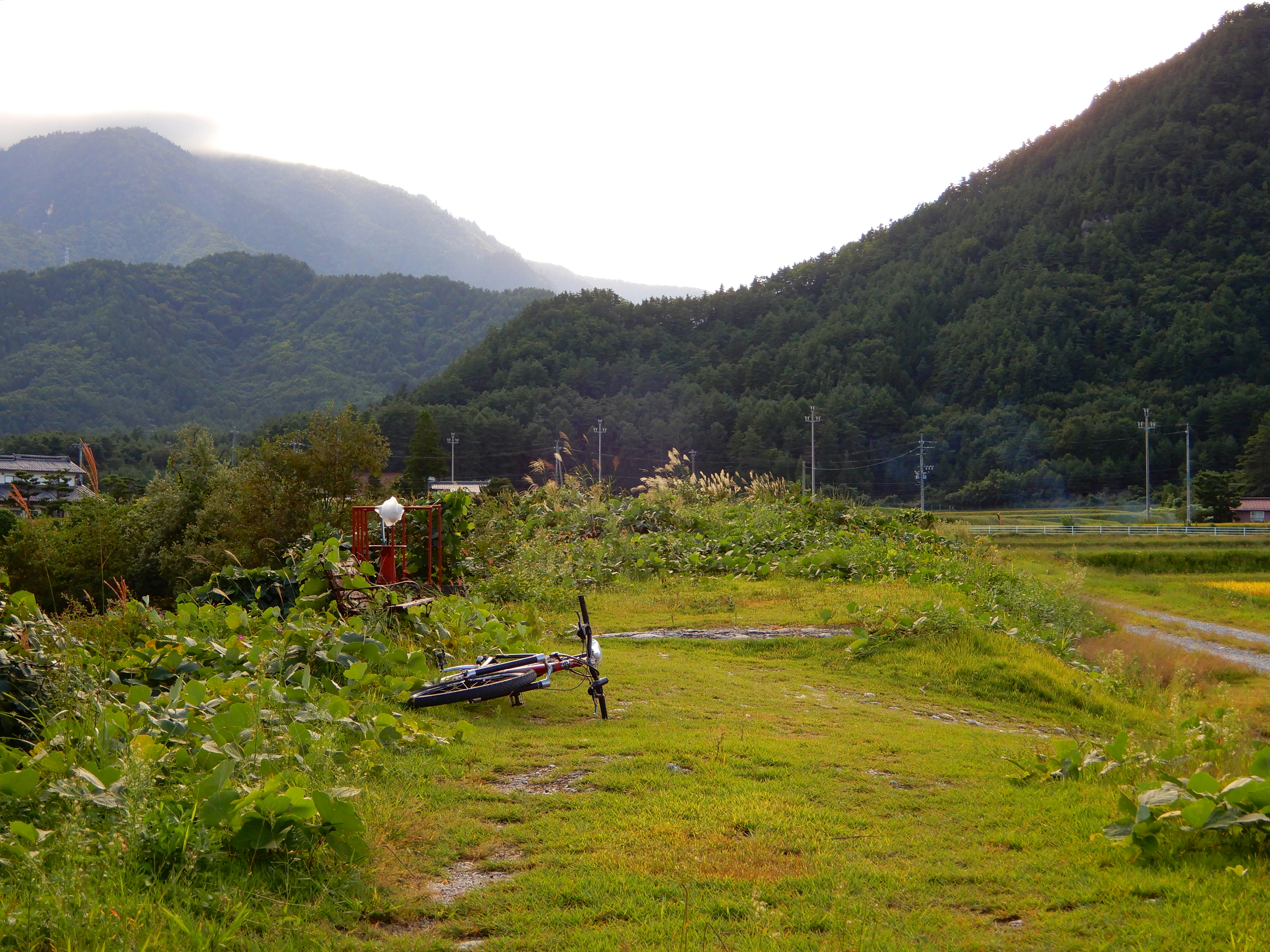 Naoki Tamura (@denson7091) | Unsplash Photo Community