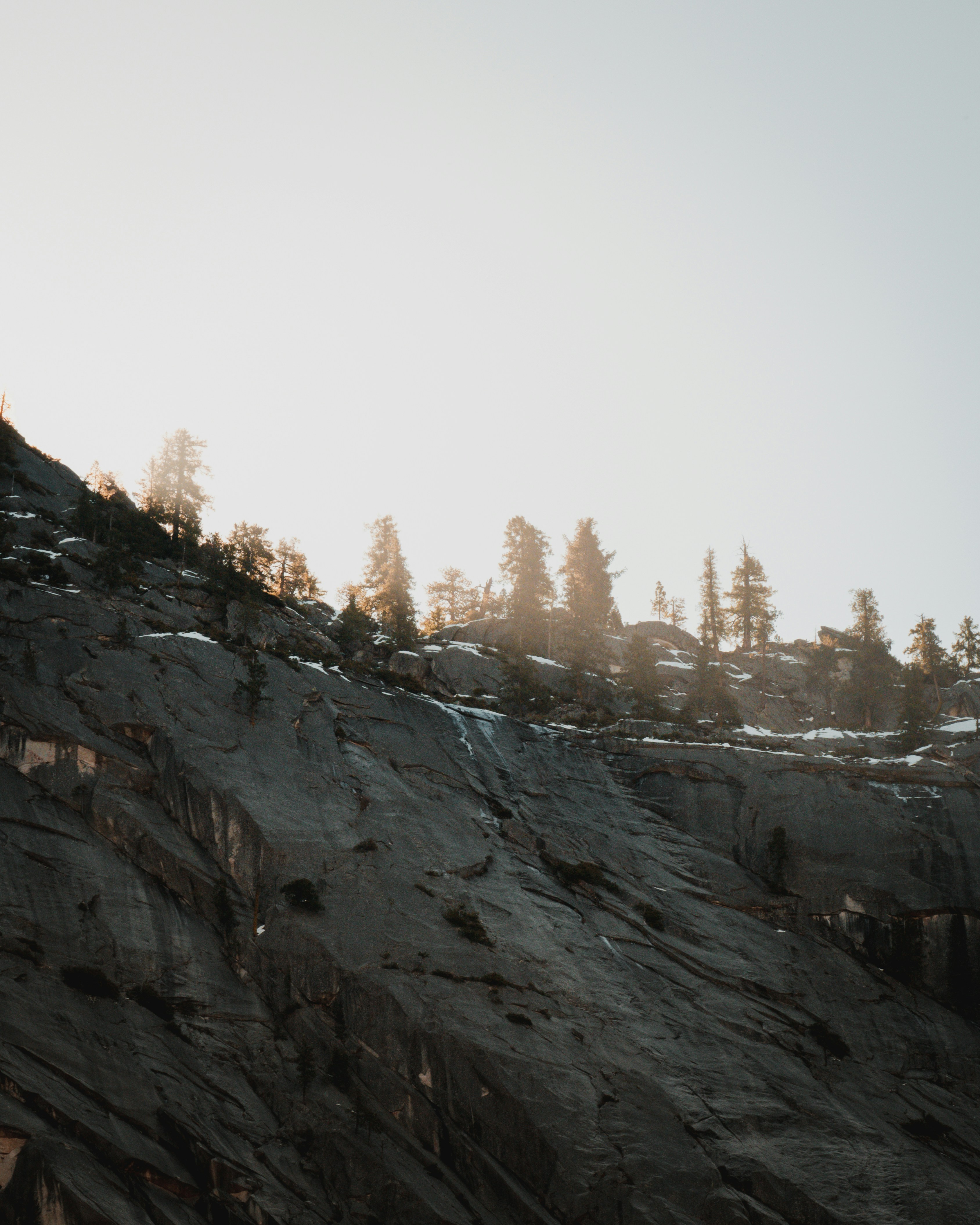 Dawn Ridge: Pines Silhouetted Across a Rugged Granite Slope