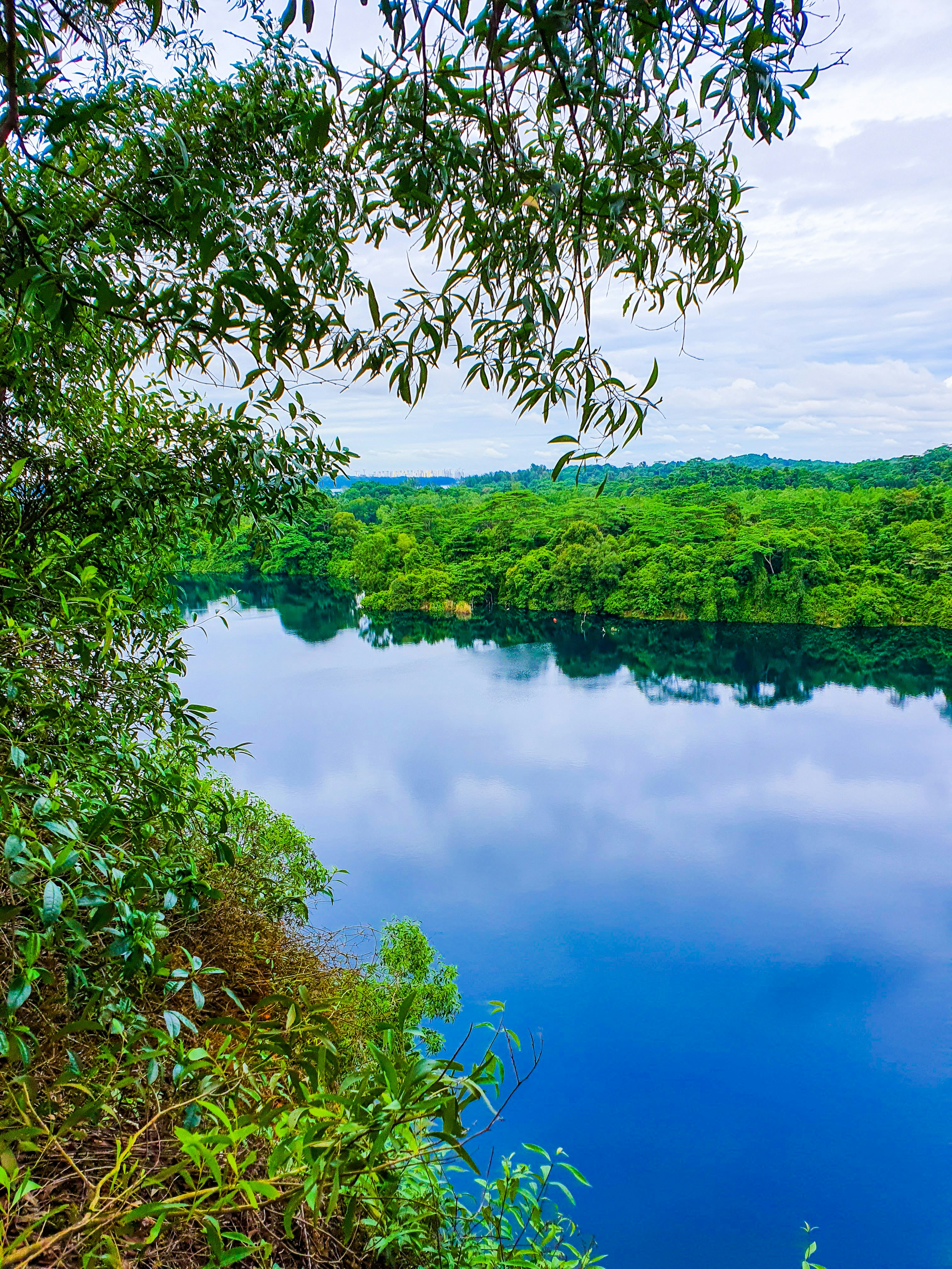 Lush greenery frames a calm river, reflecting the sky and surrounding foliage. The scene evokes a sense of peace and connection with nature.