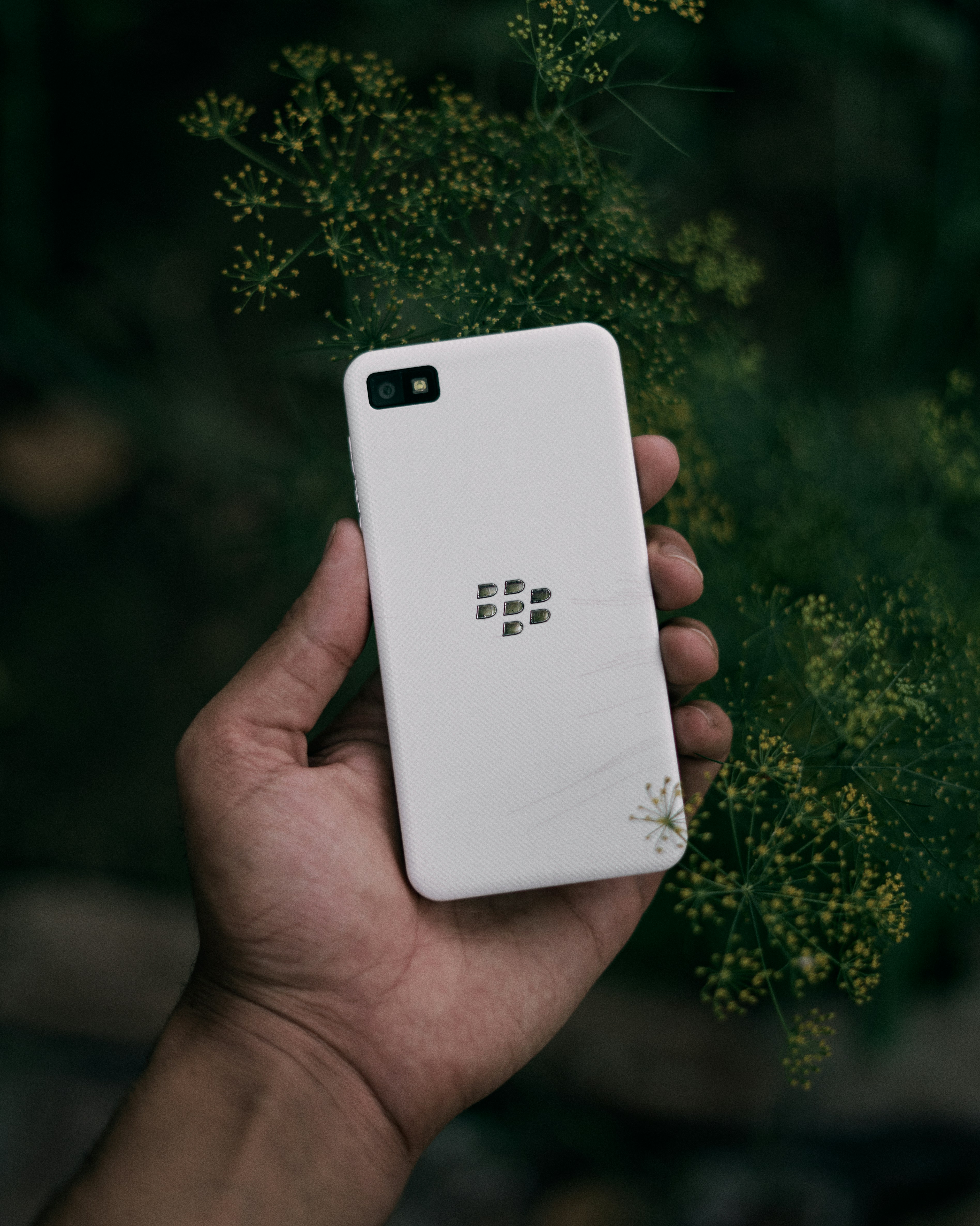 White smartphone held against a backdrop of delicate green foliage, highlighting the contrast between technology and nature.