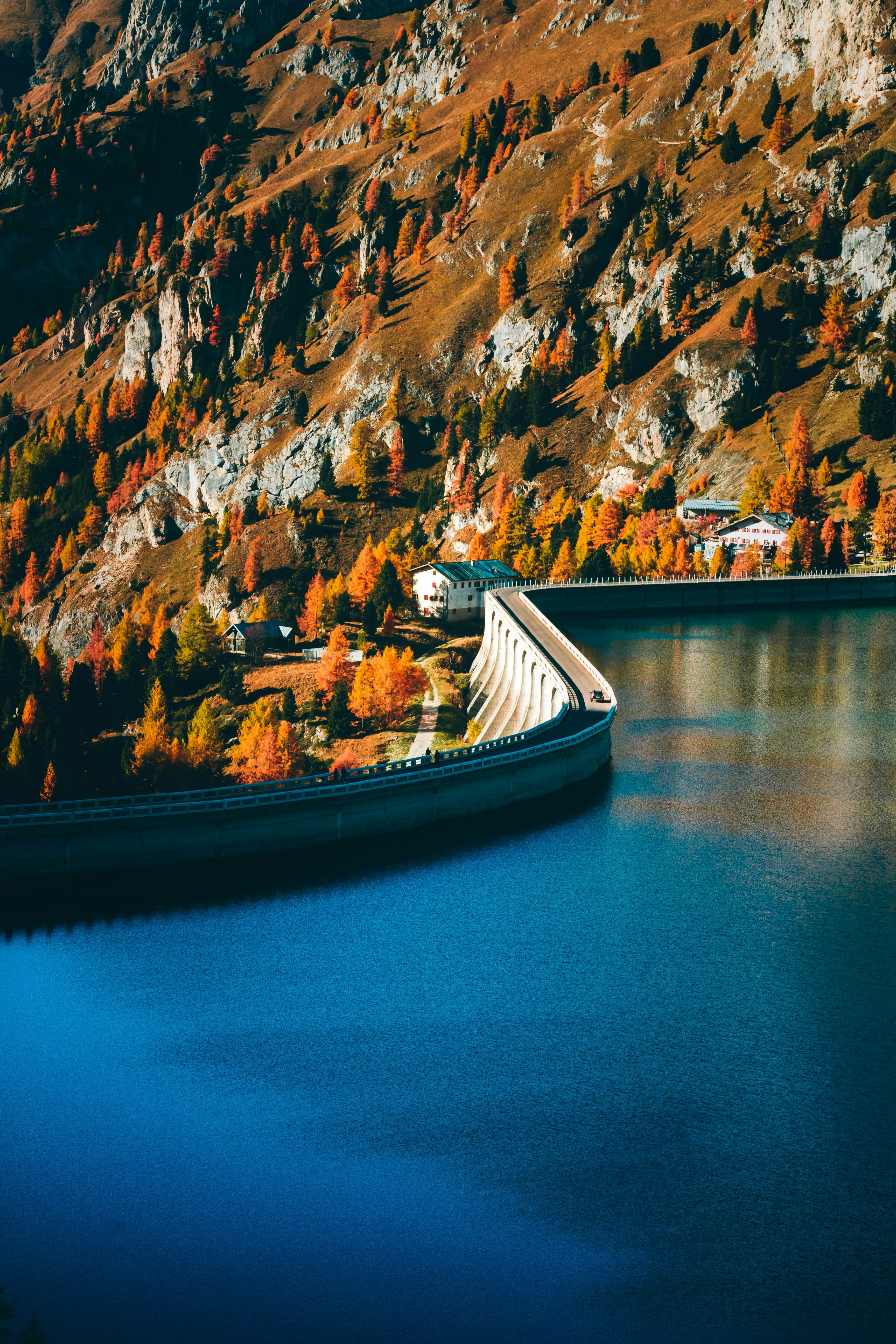 Cerulean Lake, Autumn Dam: A Curved Spillway Through a Forest of Fire-Color Pines