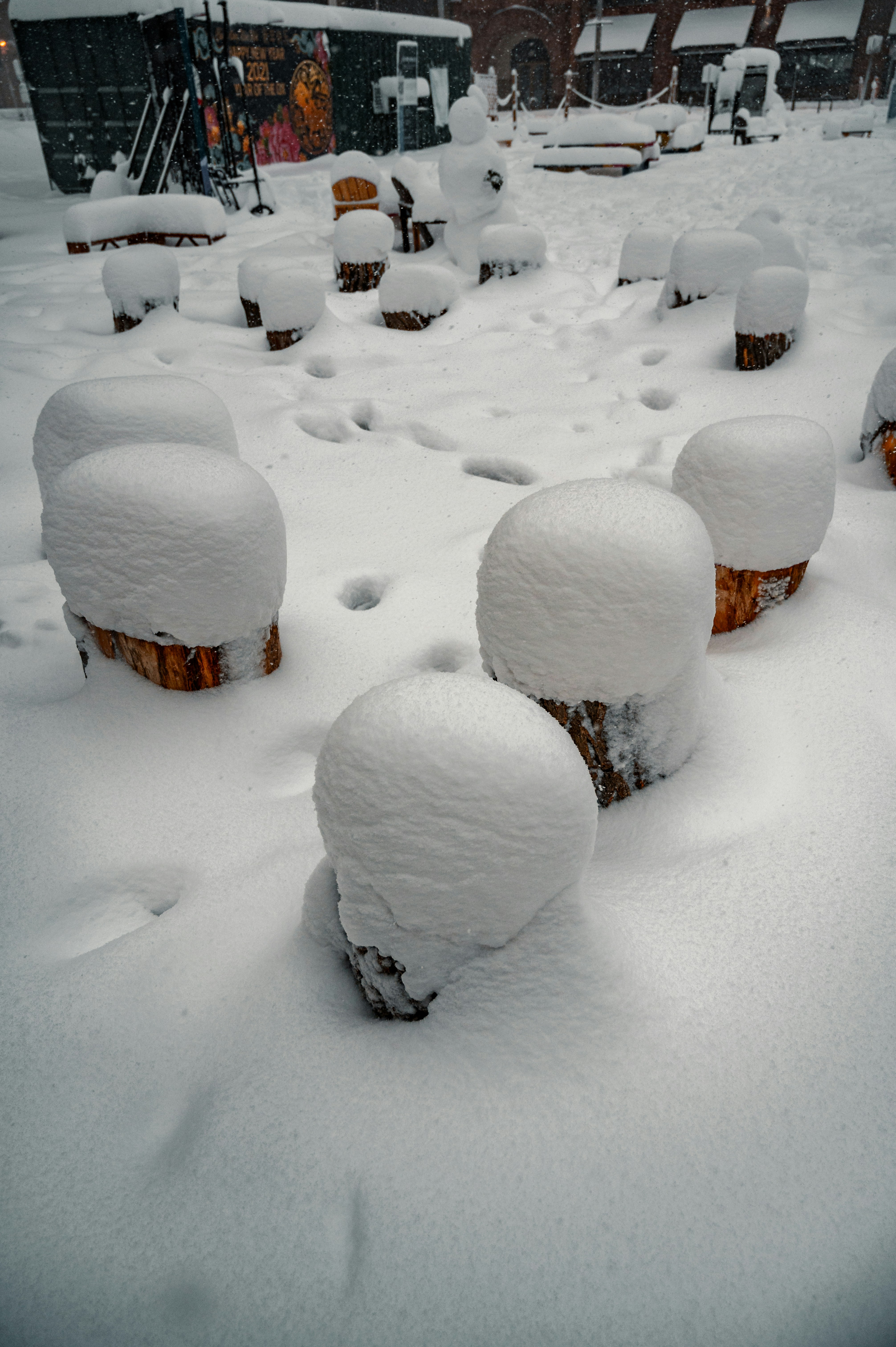 Snow Hats on Wooden Stumps: A Quiet Plaza in Winter