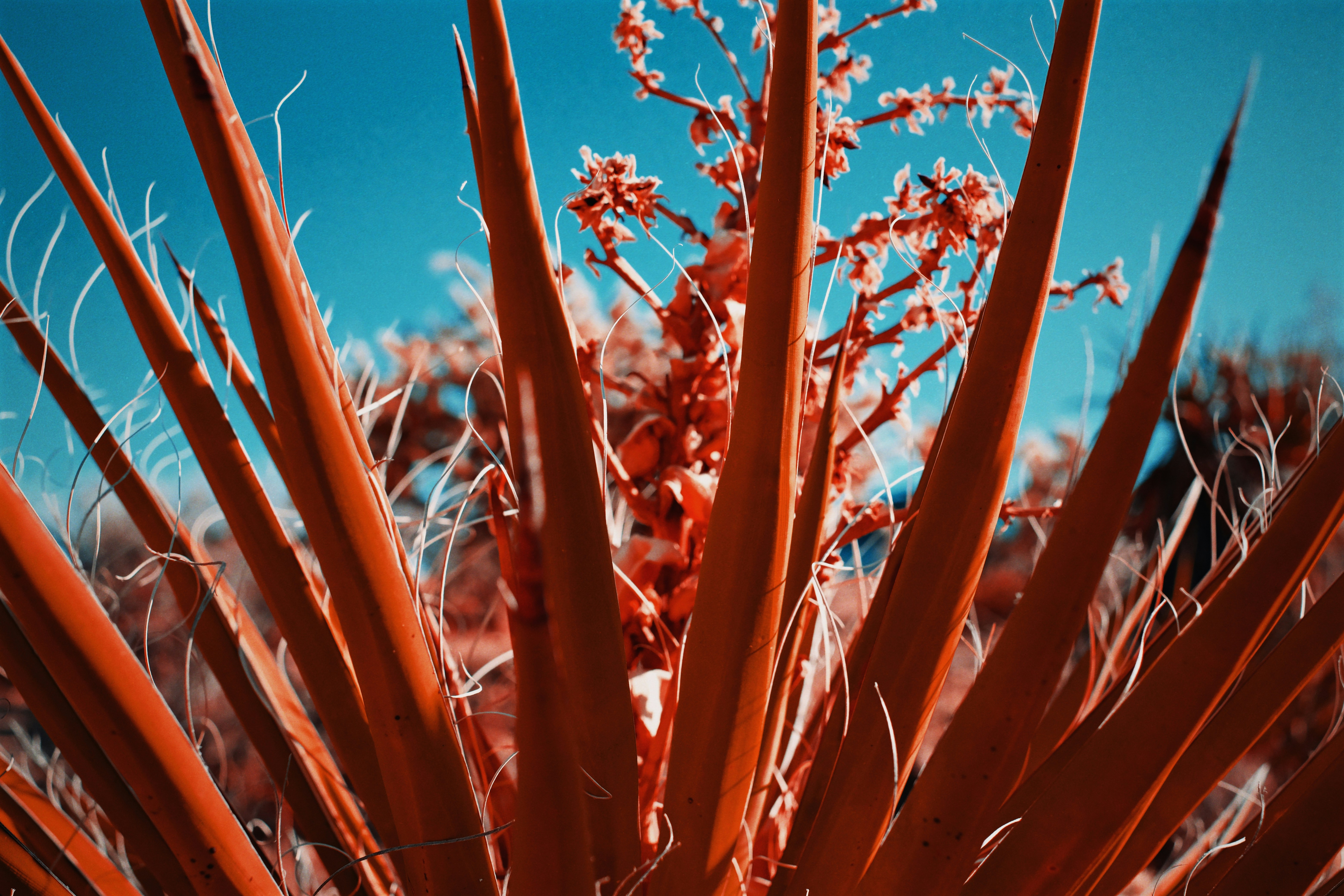 Desert photo shot on Fujifilm X-T30