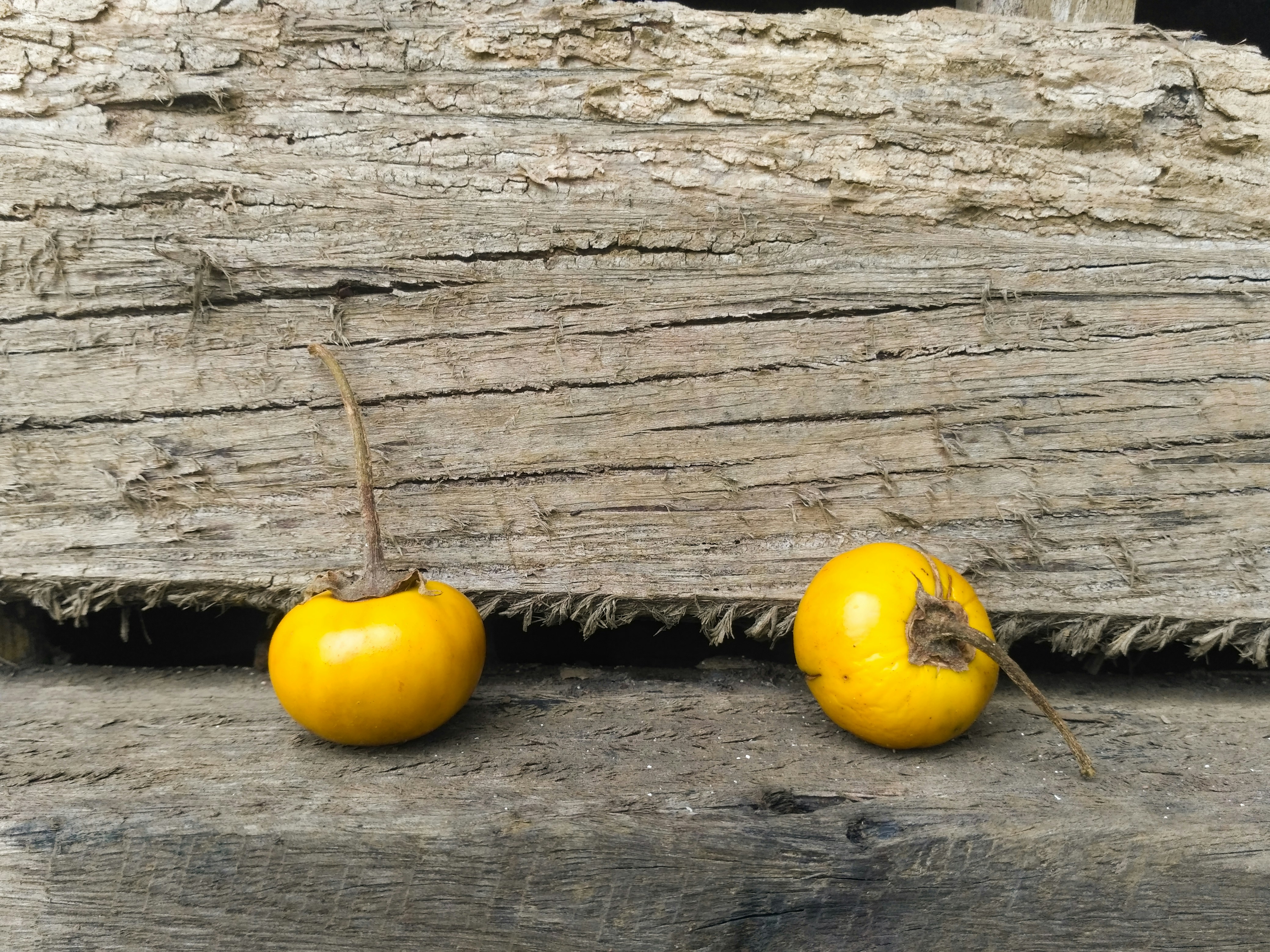 Julianti (@julianti_uns) | Komunitas Foto Unsplash