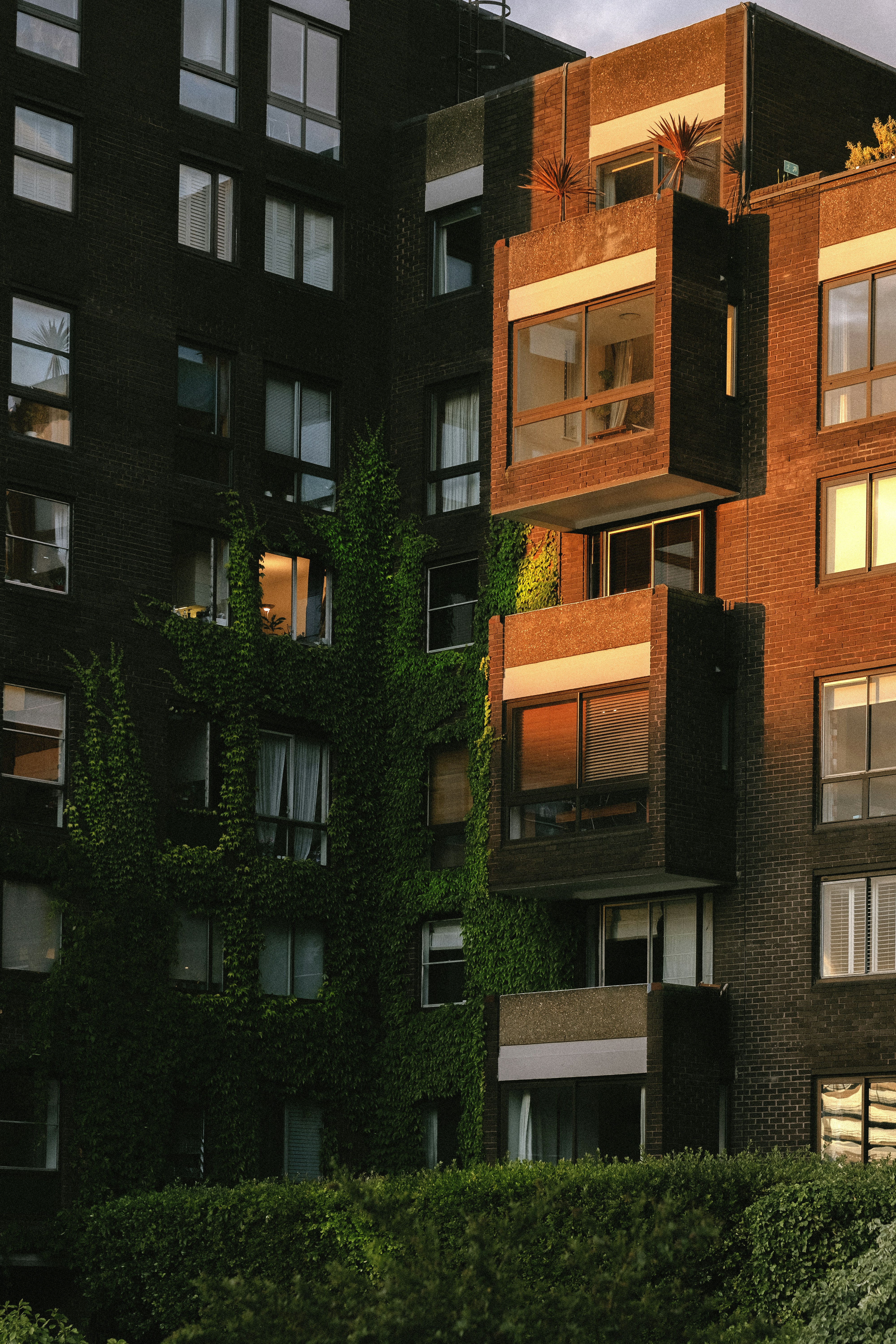 brown and black concrete building