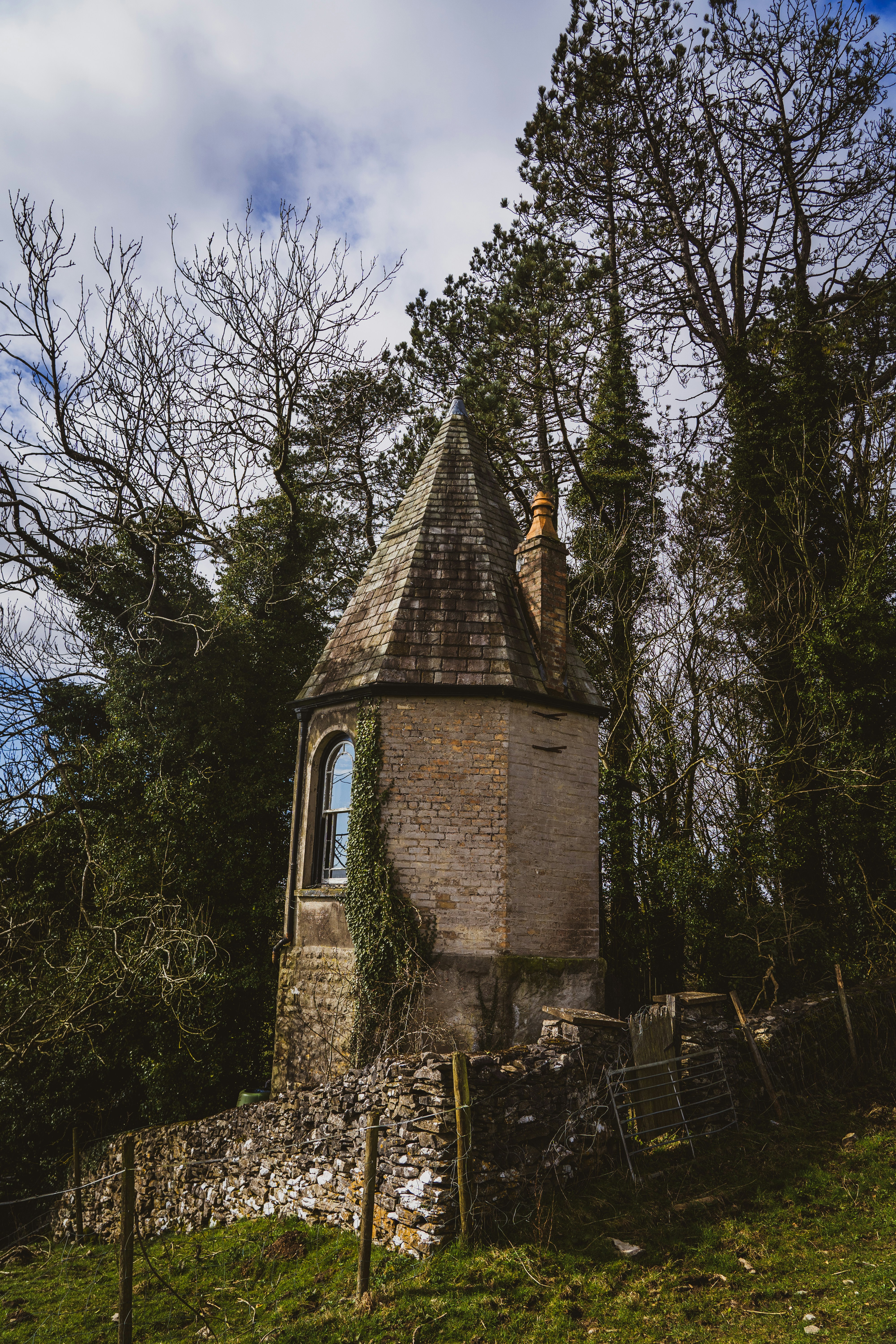 An old stone tower, partially overgrown with ivy, stands amidst a dense forest, hinting at its historical significance.